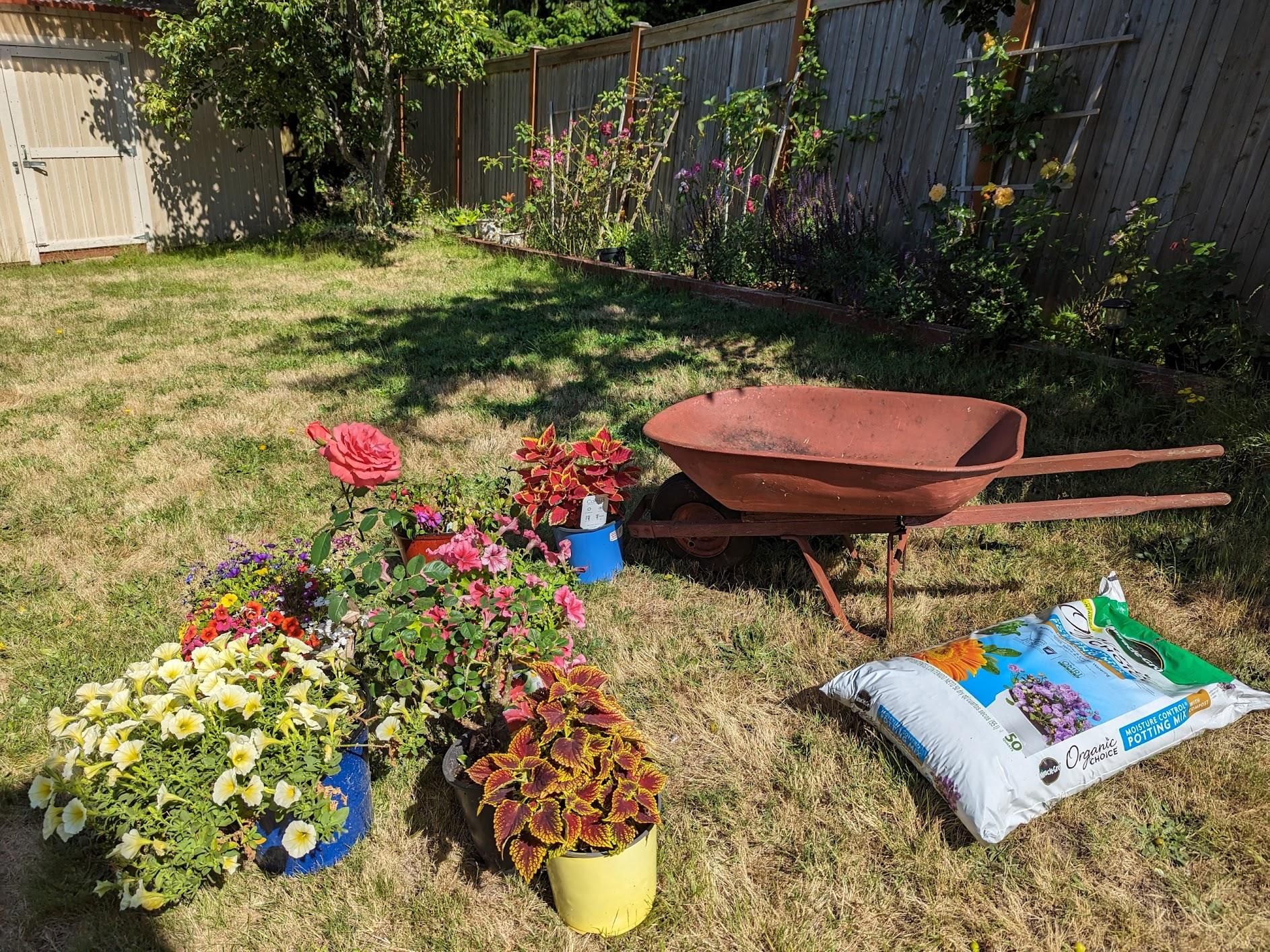 Wheelbarrow Planter : 5 Steps (with Pictures) - Instructables