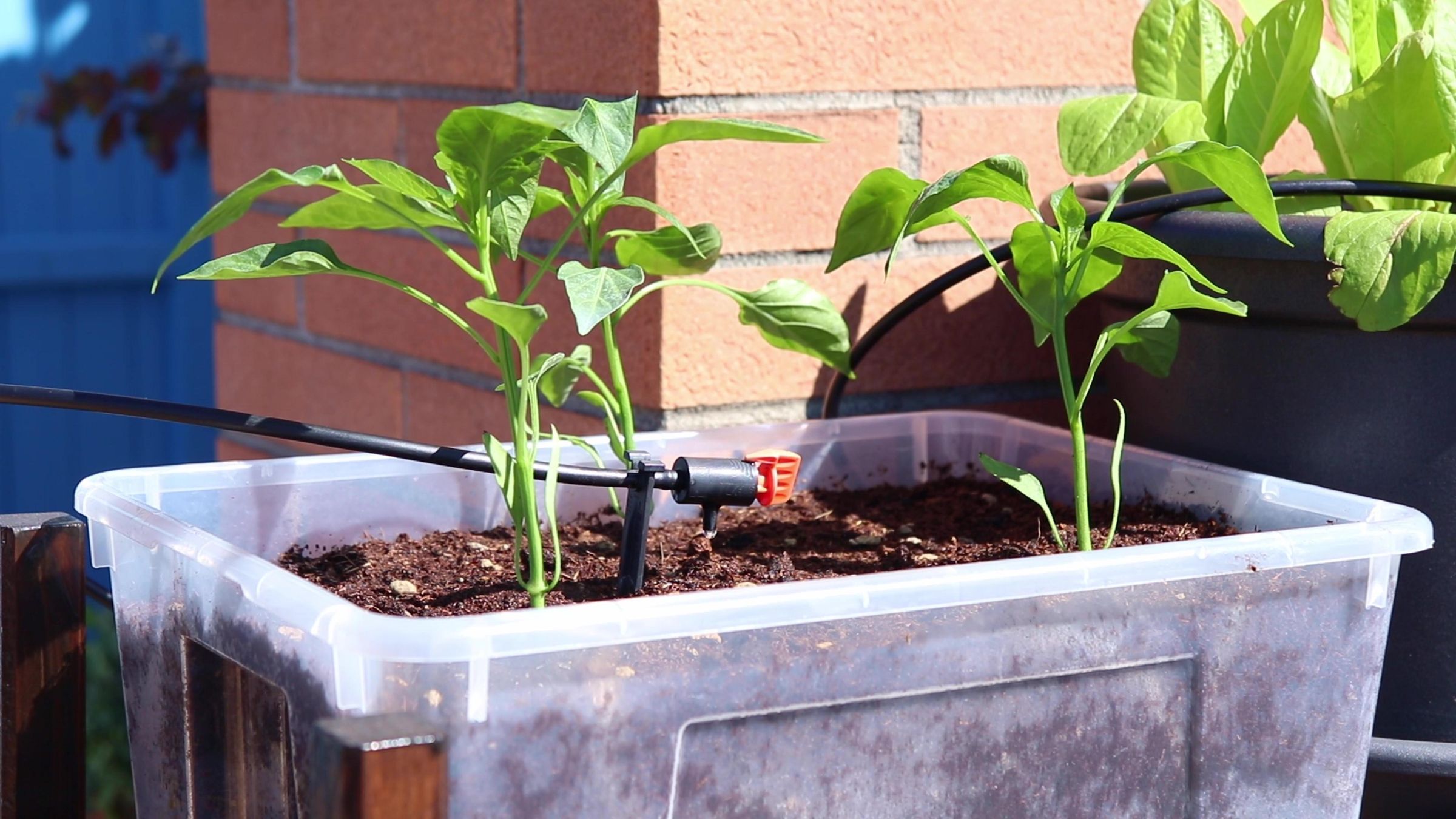 DIY Smart Watering System : 7 Steps (with Pictures) - Instructables