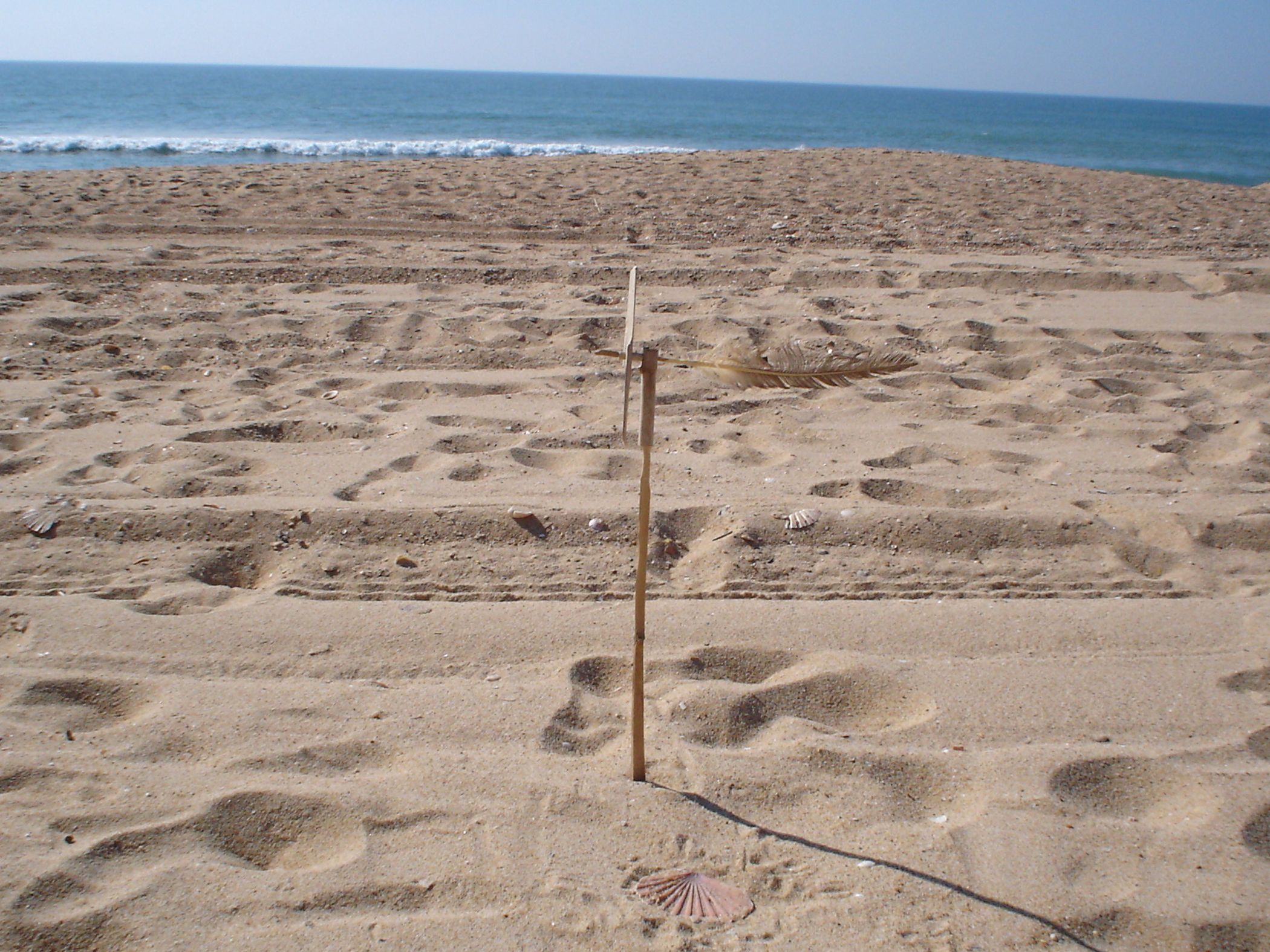 Beachcomber Weathervane : 6 Steps (with Pictures) - Instructables