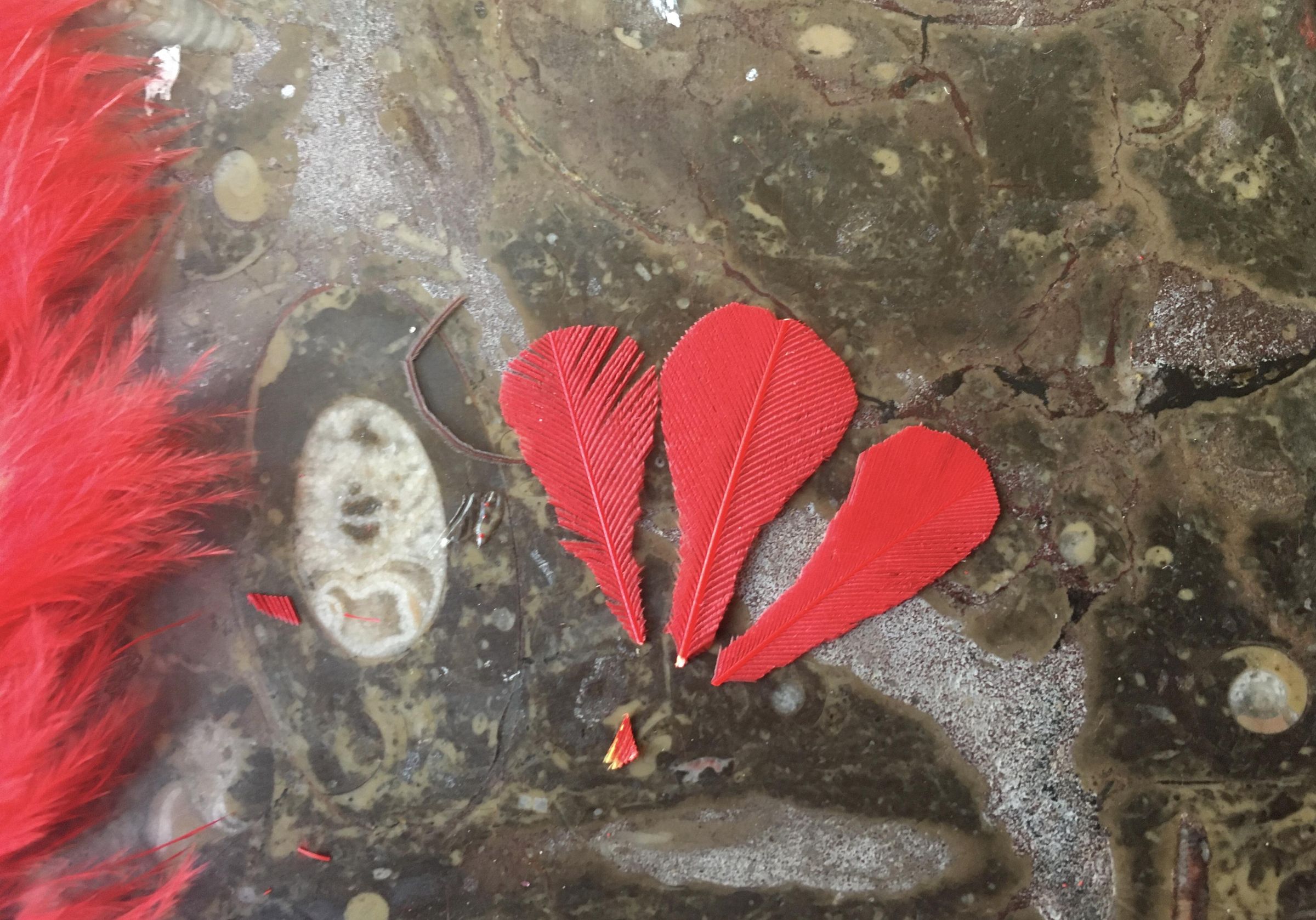 DIY Miniature Phoenix : 10 Steps (with Pictures) - Instructables