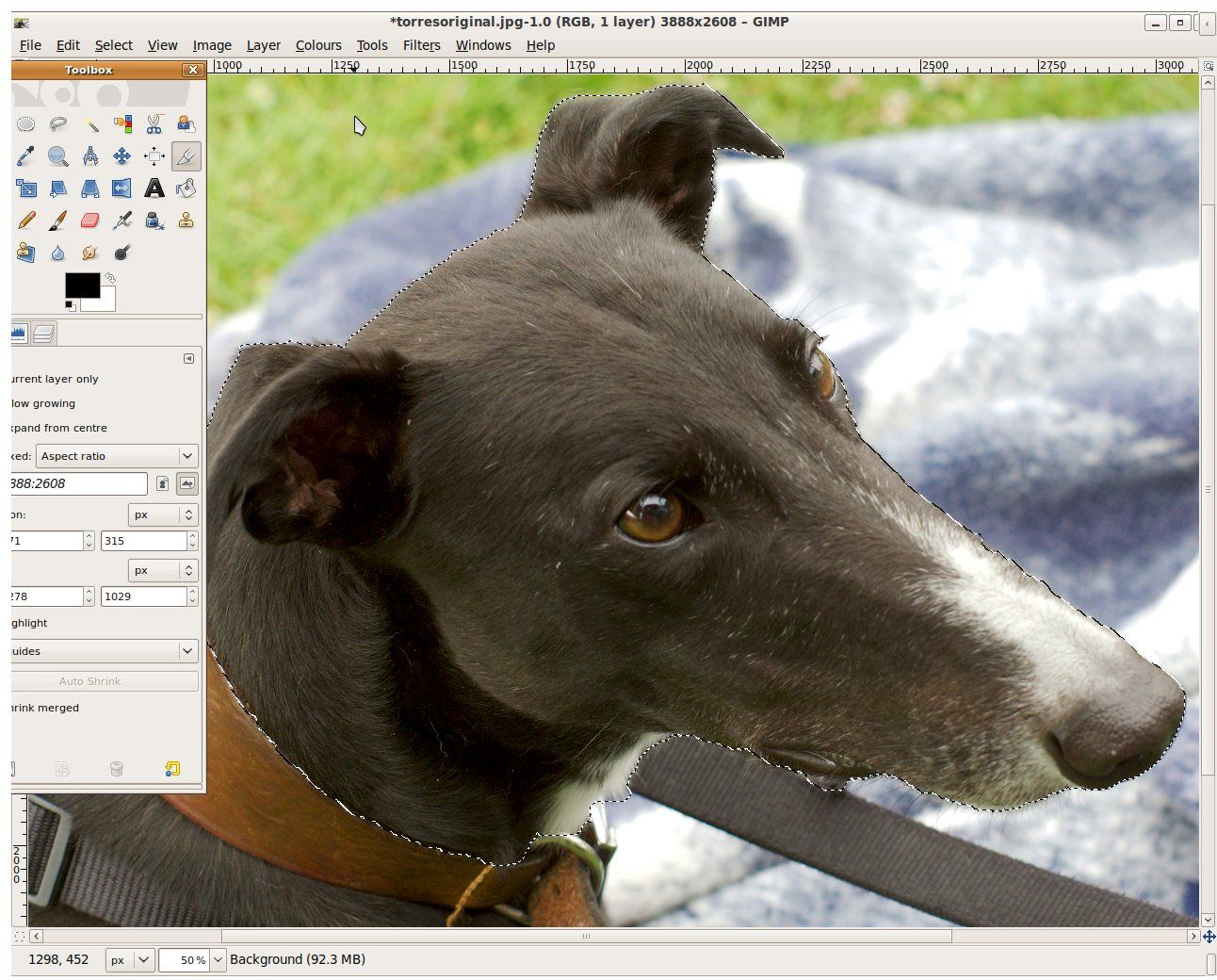 Screen Printing Tutorial Part 1: From Photograph to Monochrome Image ...