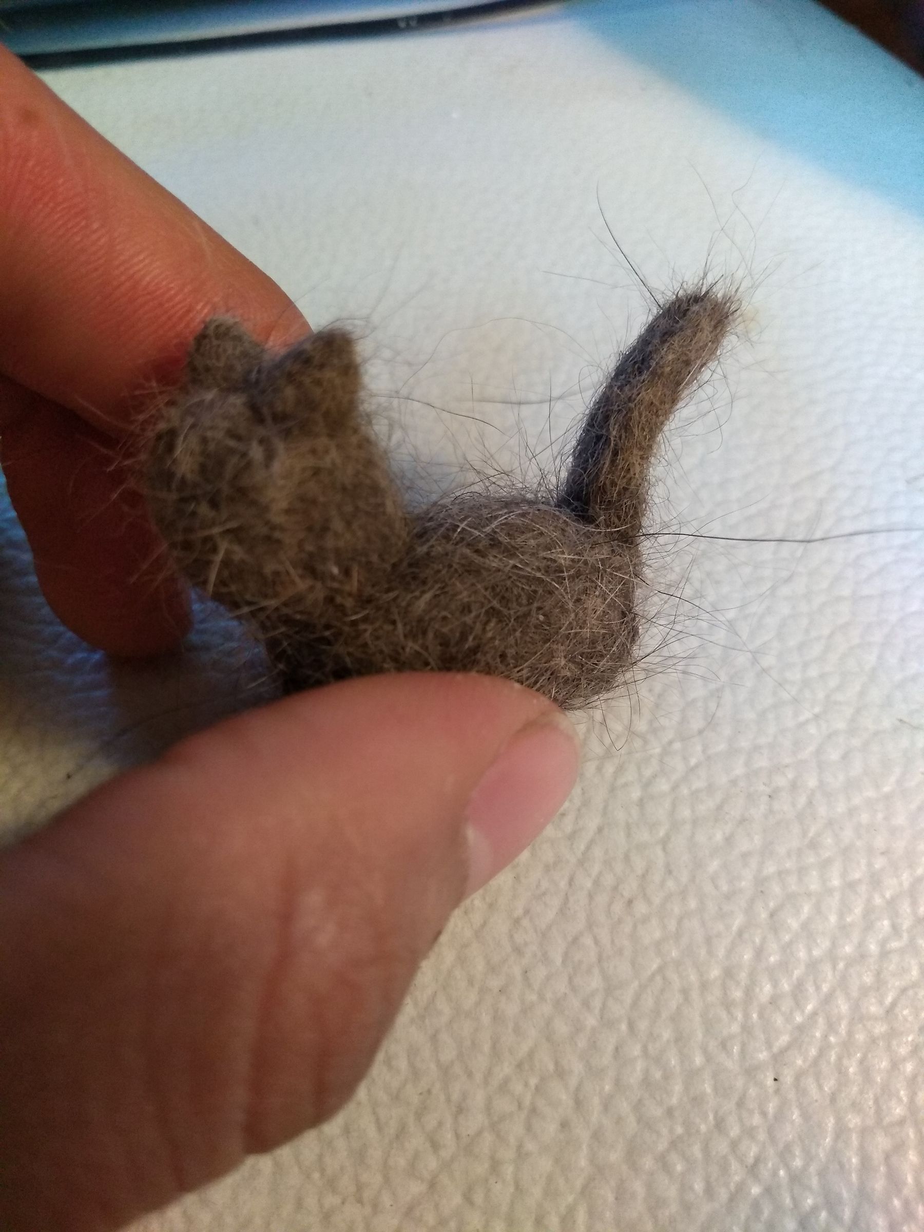 Felting a Mini Kitty From Your Cat's Fur : 10 Steps (with Pictures ...
