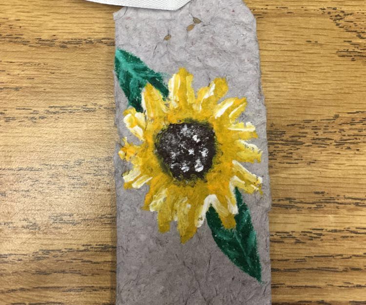 Seed Paper : 7 Steps - Instructables