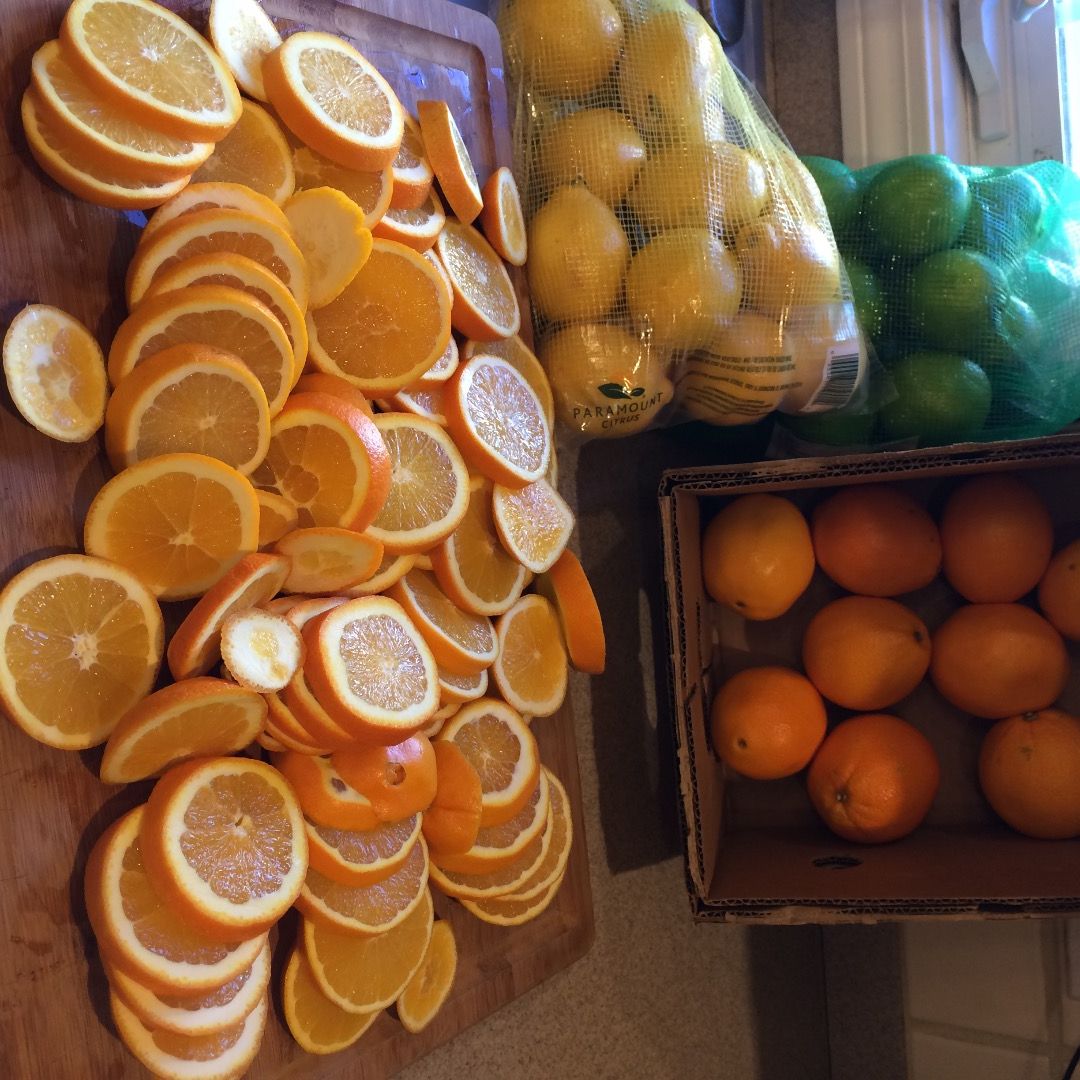 Make Citrus Powder : 9 Steps (with Pictures) - Instructables