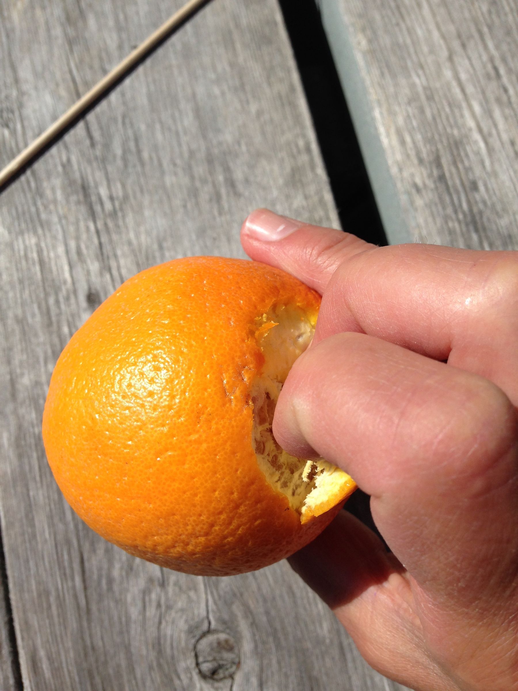 Orange Peel Skewers : 4 Steps (with Pictures) - Instructables