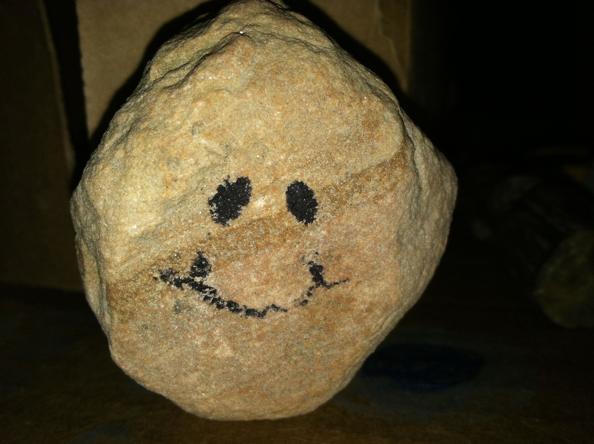 Guide to Pet Rocks: Part 2 : 5 Steps - Instructables