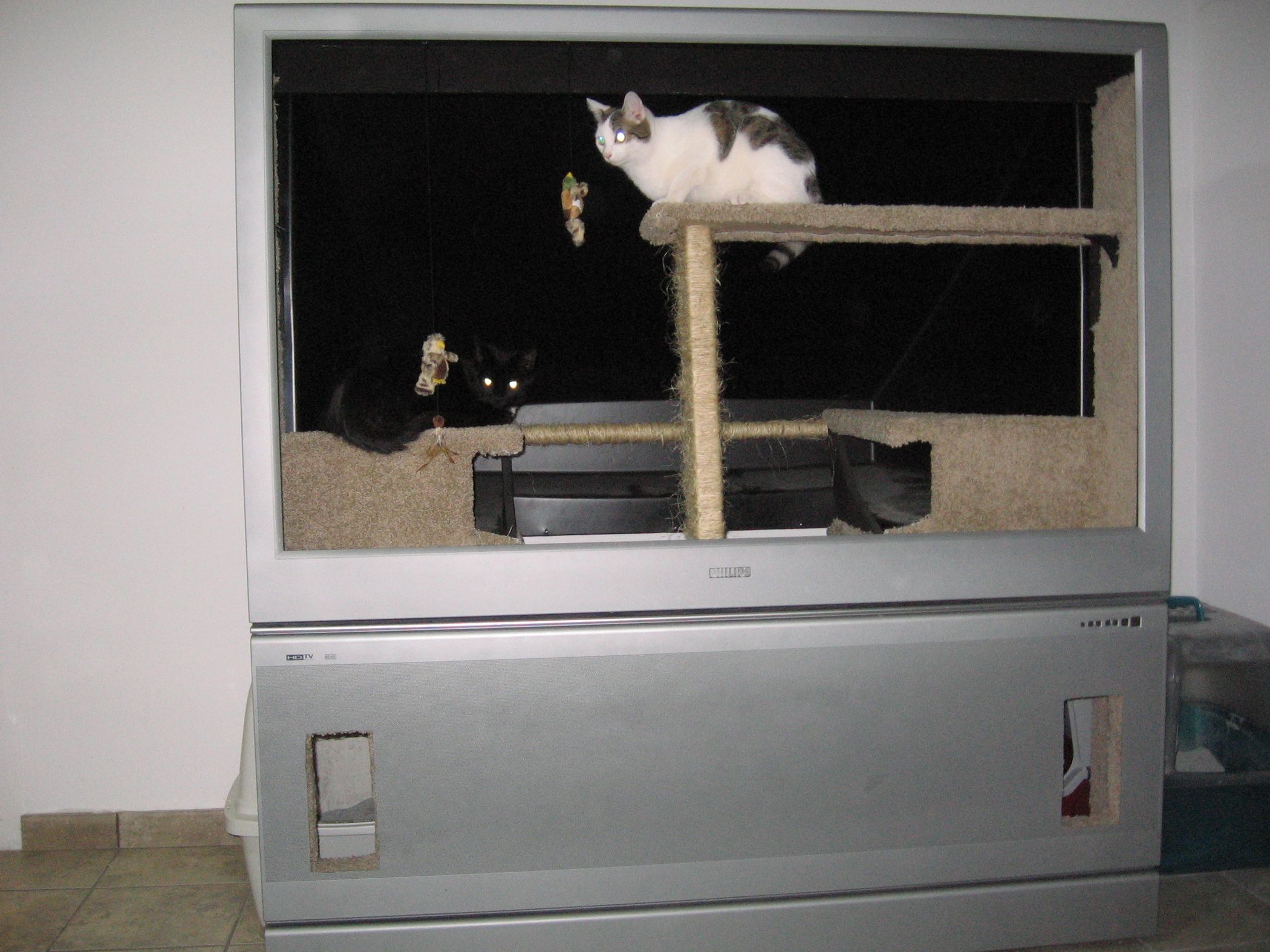Big Screen Cattery : 13 Steps (with Pictures) - Instructables