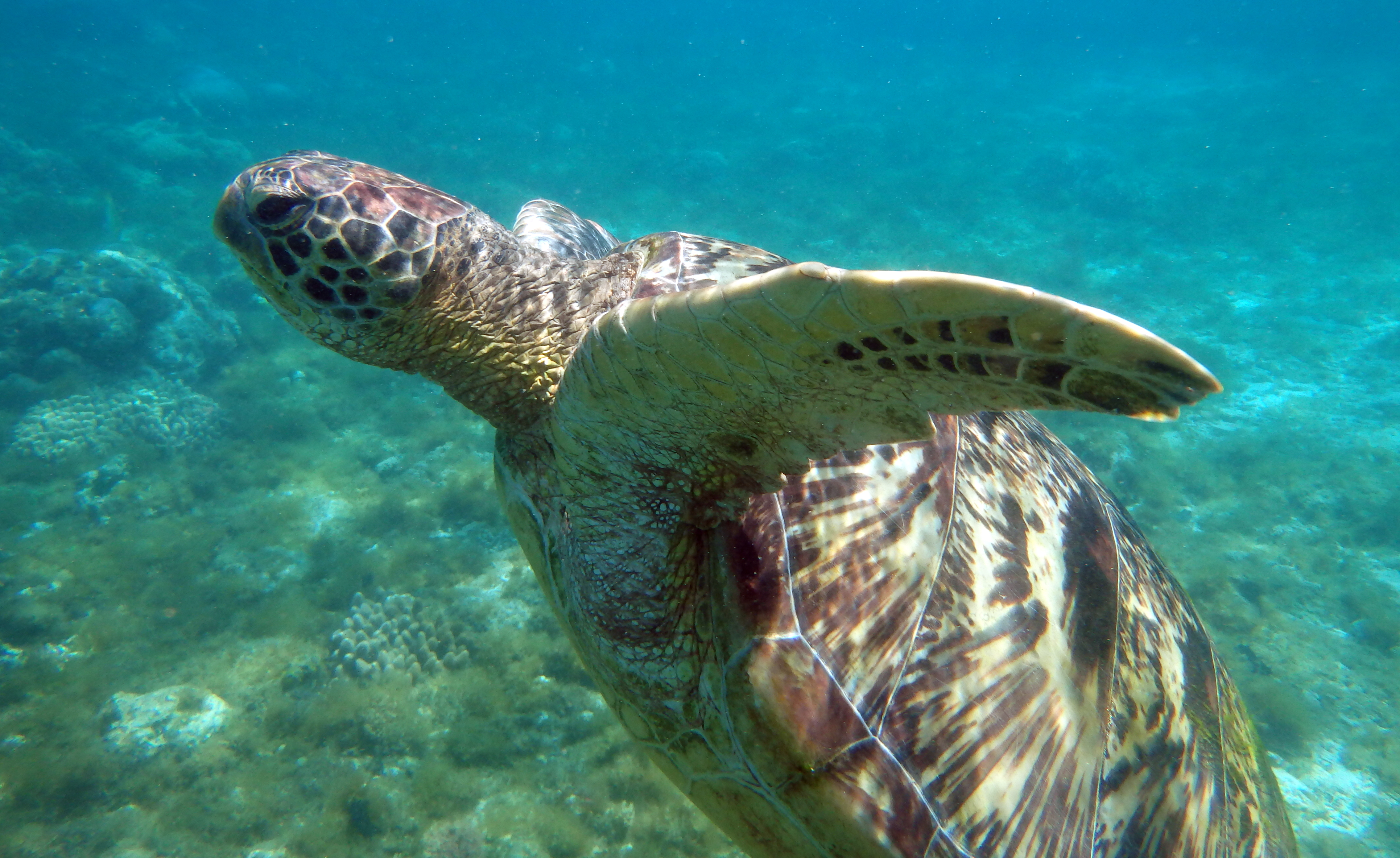 Bamboo BOAT Lab : 27 Steps (with Pictures) - Instructables