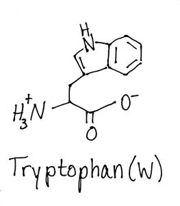 How to Draw Peptide Chains : 18 Steps (with Pictures) - Instructables