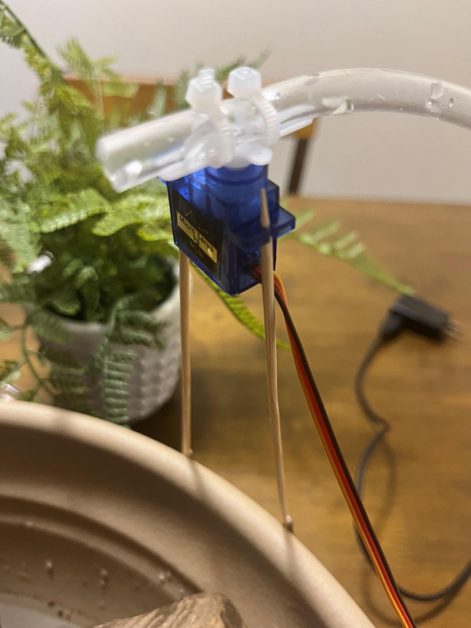 S.I.P. (Self-Irrigating Plant) : 8 Steps - Instructables