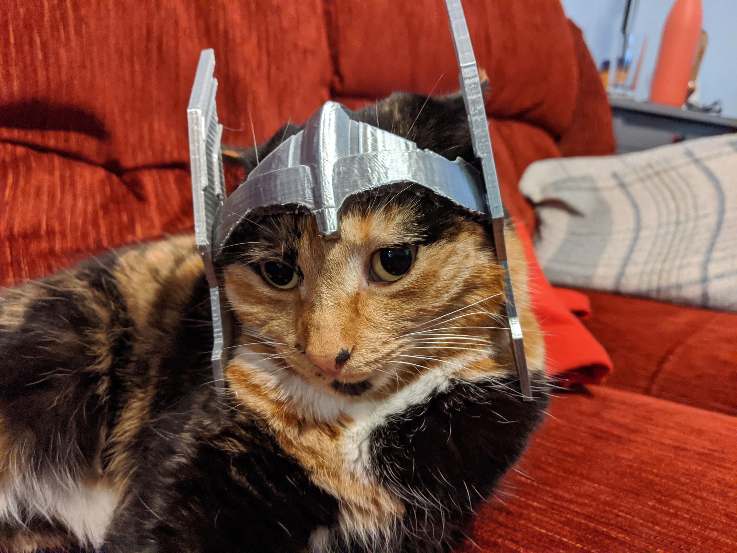 Thor and Loki Cat Helmets : 4 Steps - Instructables