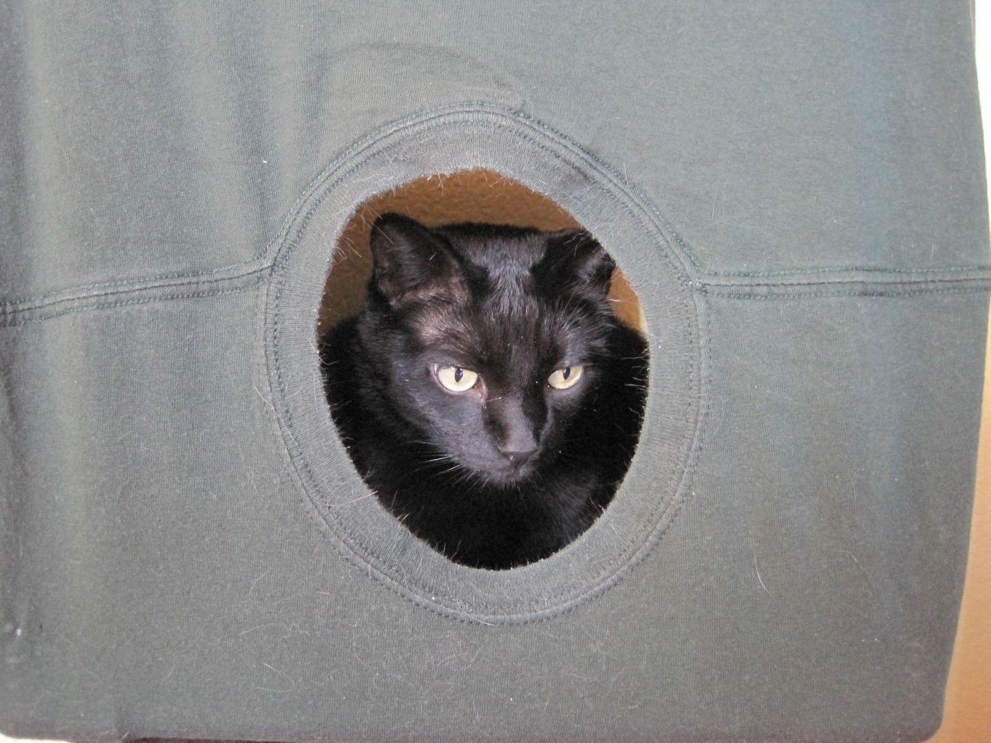 PVC Kitty Condo : 4 Steps (with Pictures) - Instructables