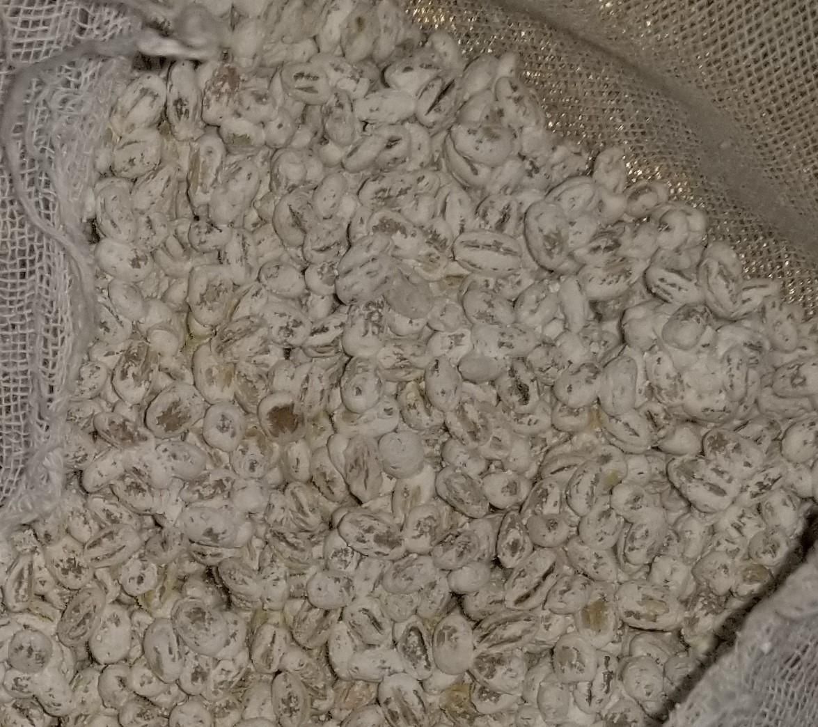 Making Koji - a Foundation of Fermentation : 5 Steps (with Pictures ...