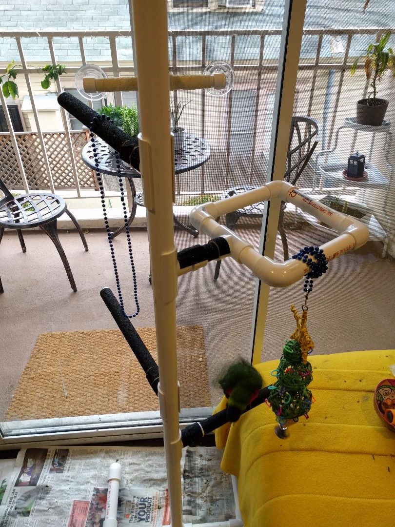 DIY BIRD STAND : 8 Steps (with Pictures) - Instructables