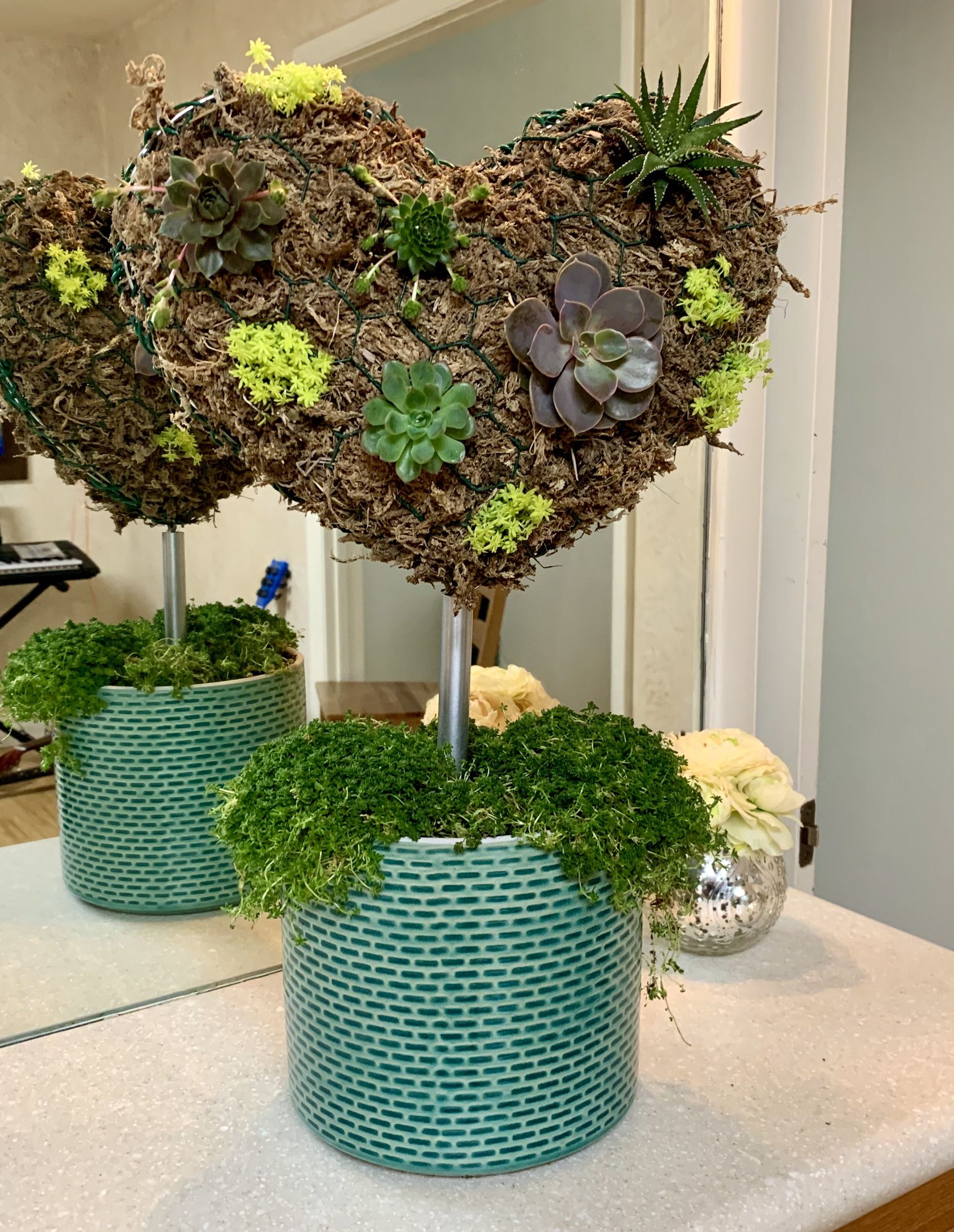 Living Heart Succulent Planter : 9 Steps (with Pictures) - Instructables