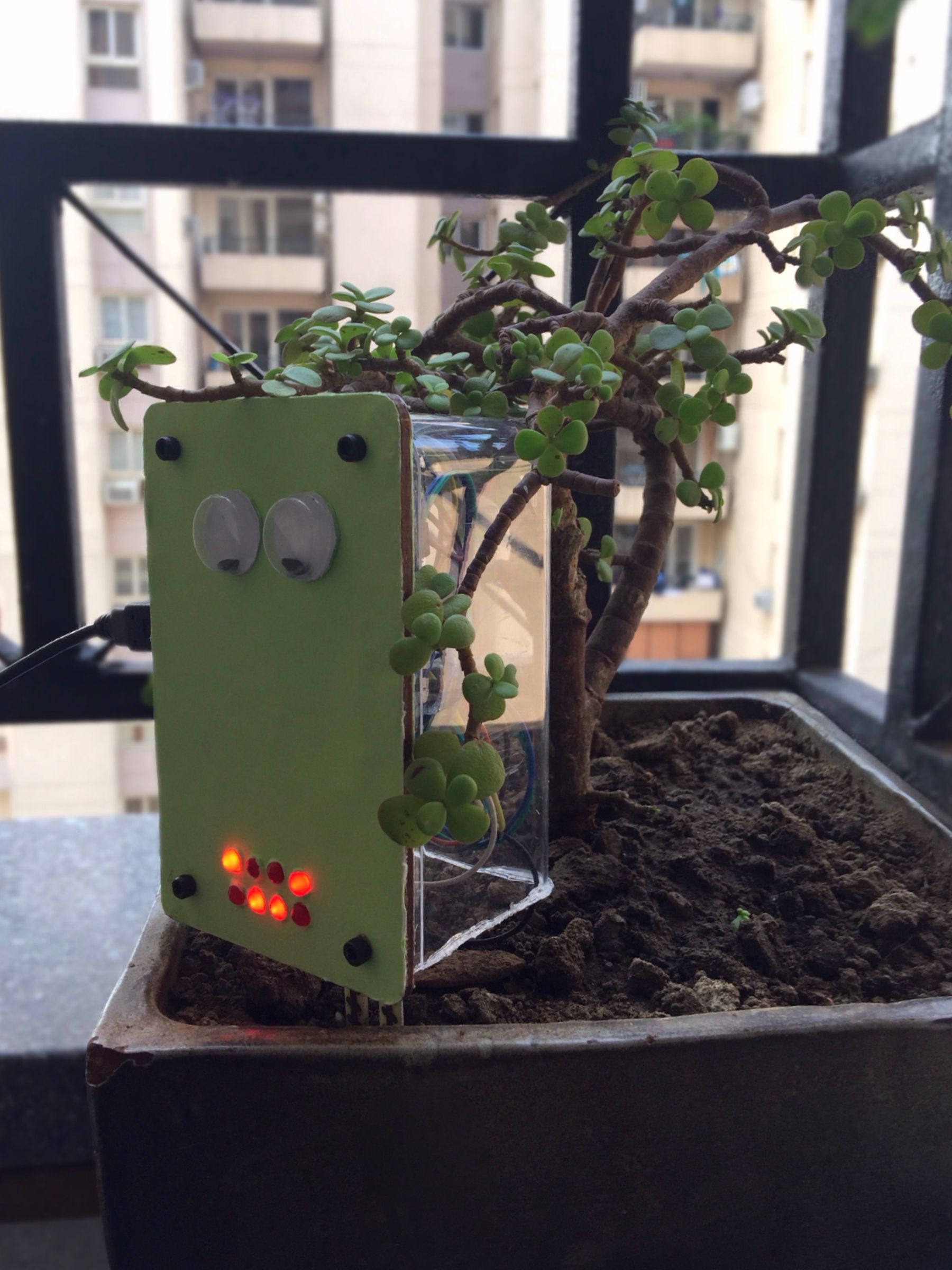 Interactive Plant Mood Detector : 9 Steps (with Pictures) - Instructables