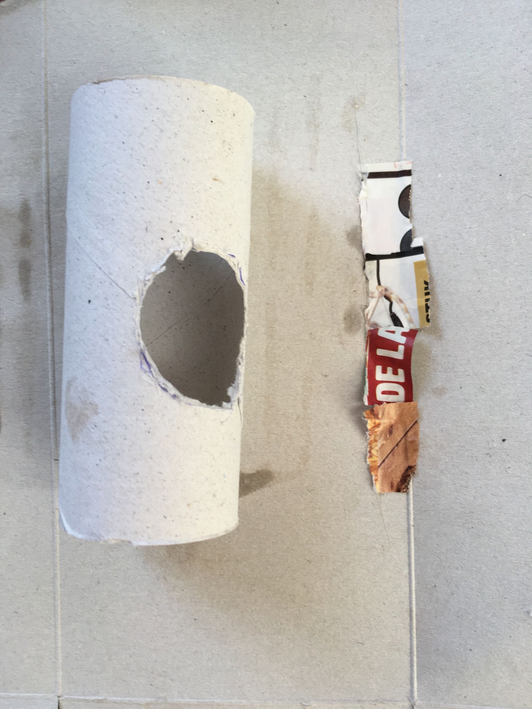 Hamster Climbing Frame : 10 Steps - Instructables