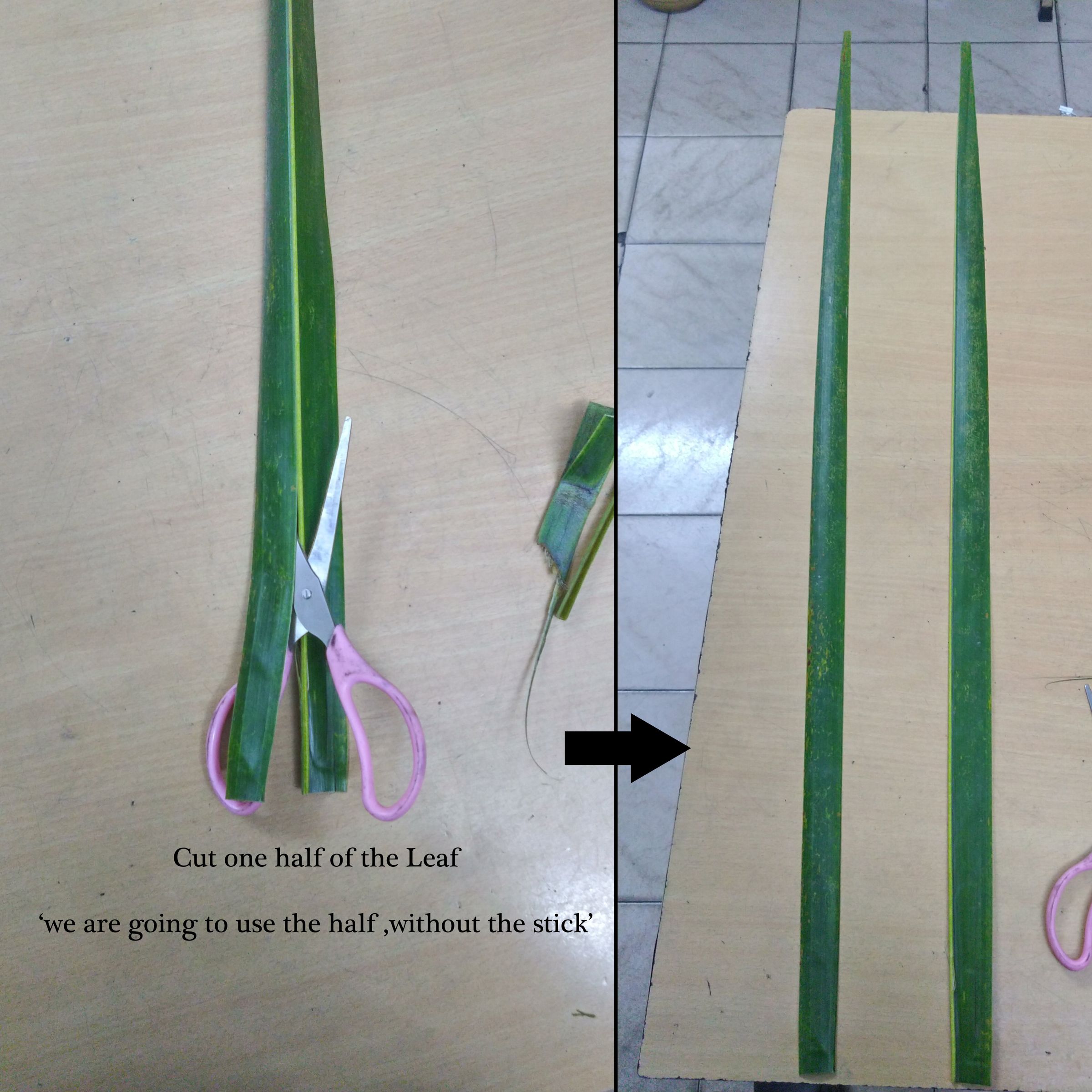Coconut Leaf Whistle Instrument : 6 Steps - Instructables