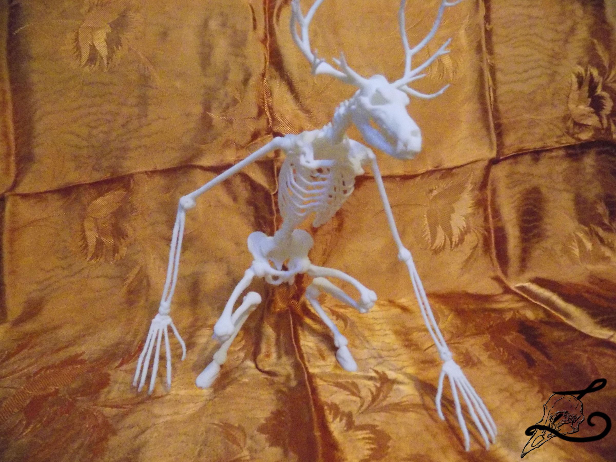 3D Printed Wendigo Skeleton - Freedownload ^^ : 6 Steps (with Pictures ...