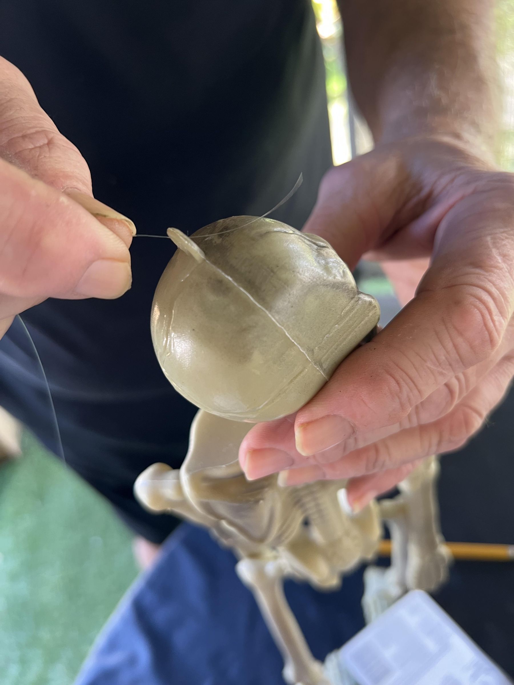 Animated Flying Skeleton Ghosts : 19 Steps (with Pictures) - Instructables