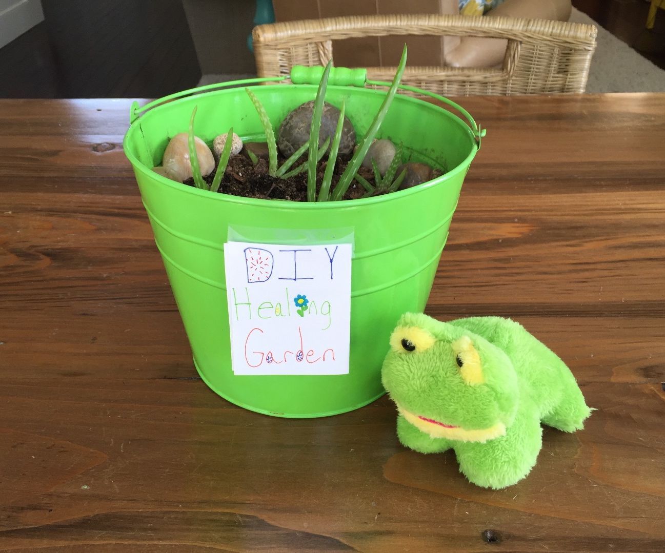 DIY Healing Garden : 3 Steps - Instructables