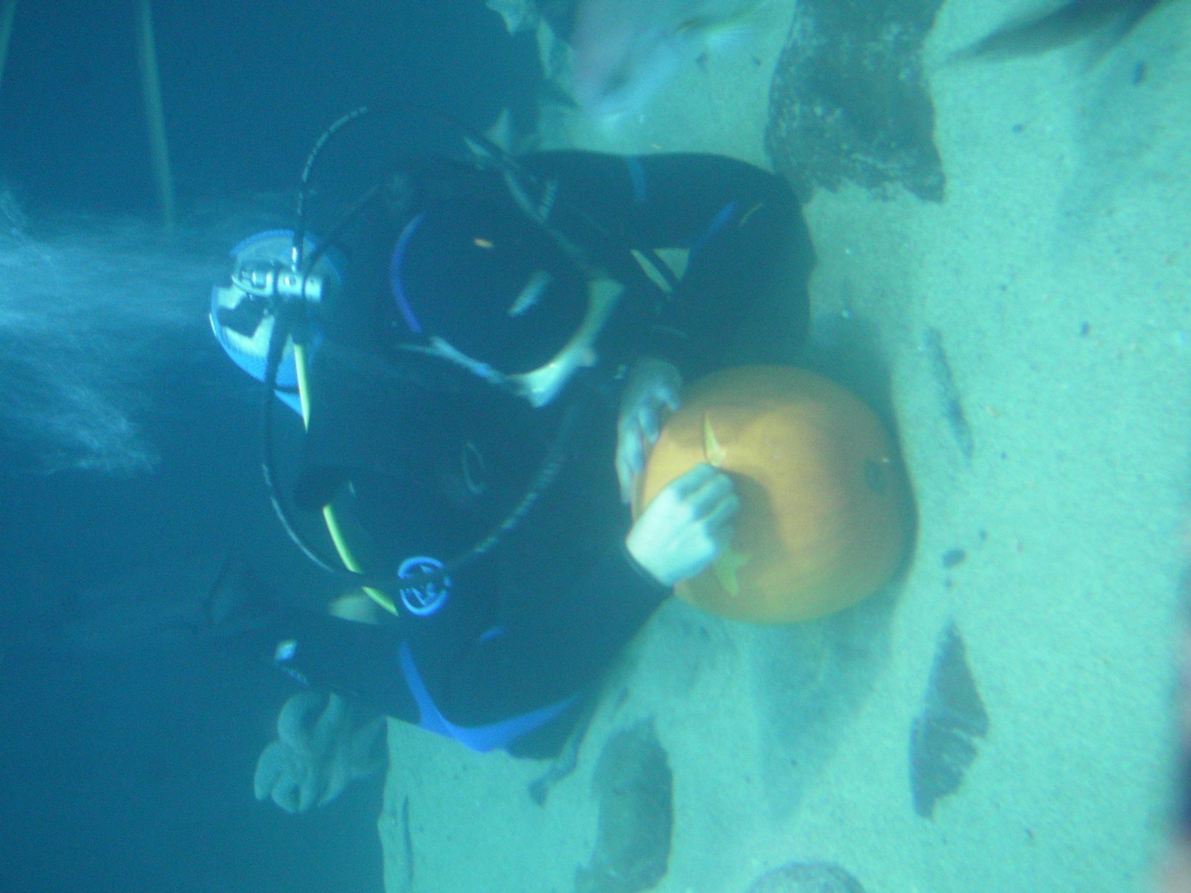 Underwater Pumpkin Carving How To : 8 Steps (with Pictures) - Instructables