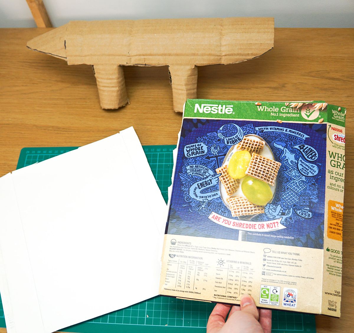 DIY Cardboard Pangolin | Sculpt an Armoured Animal With Recycled Card ...