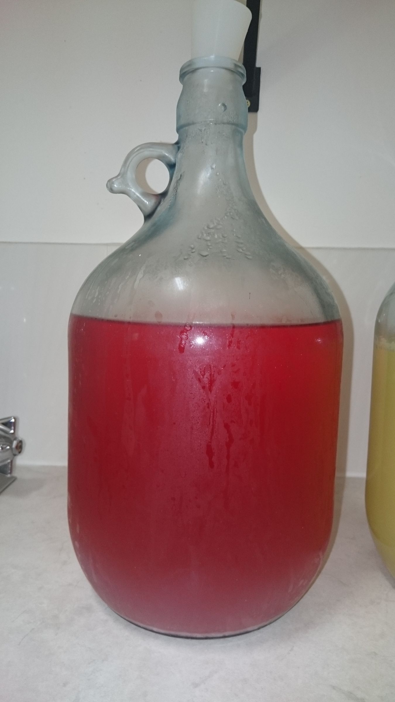 1 Gallon Raspberry Mead Recipe | Bryont Blog