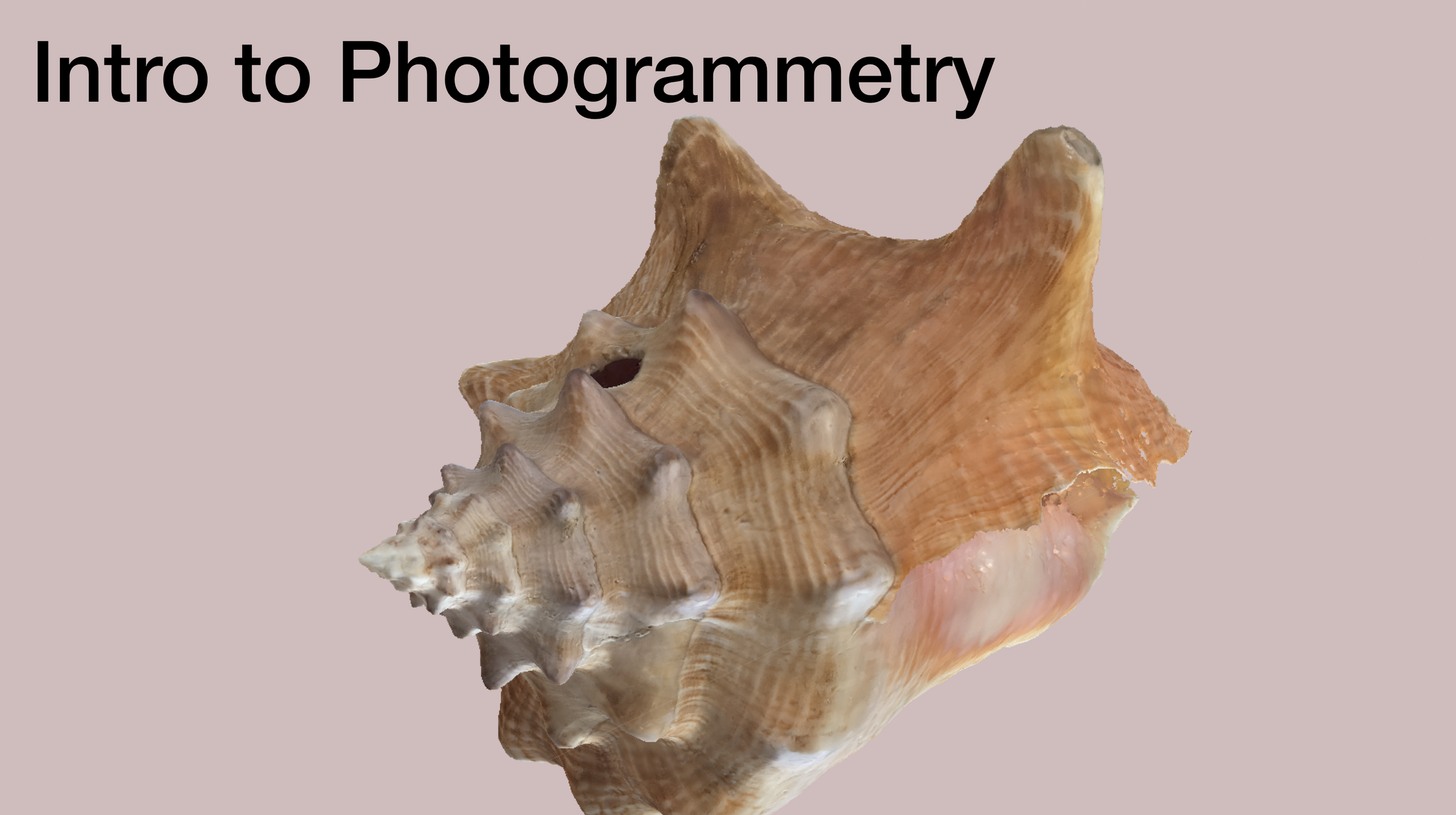 Photogrammetry in 18 Step! (Agisoft Metashape) : 19 Steps - Instructables