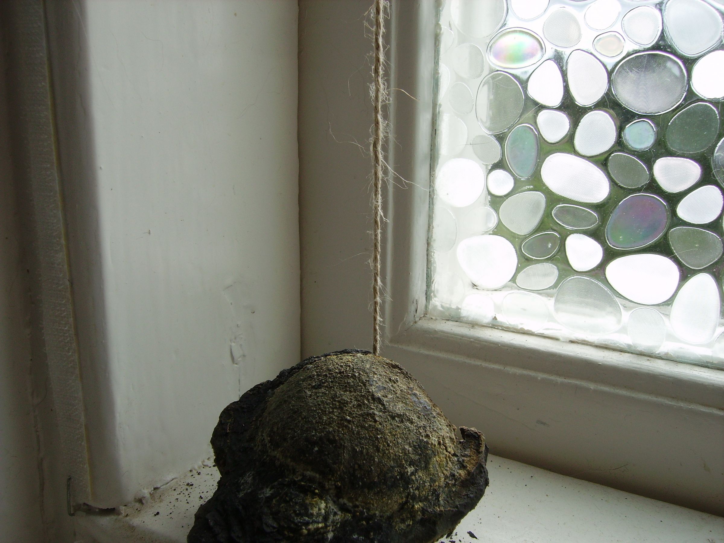 Folded Cardboard Window Blind : 9 Steps (with Pictures) - Instructables