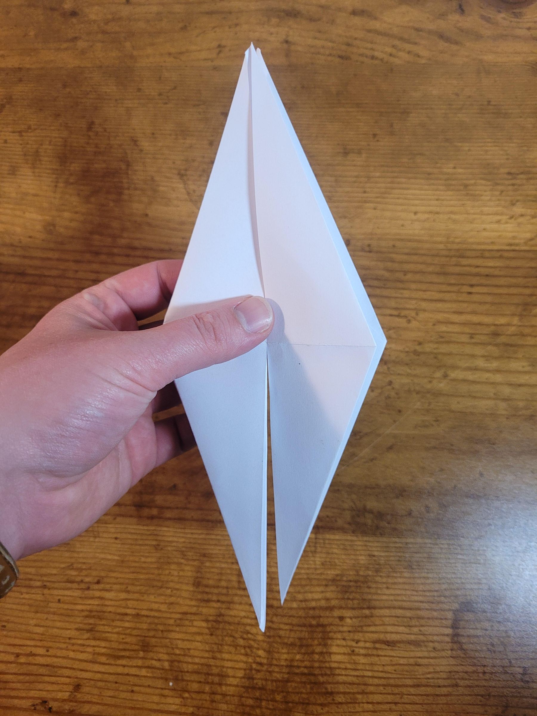 How to Fold a Paper Crane- Easy Instructions : 12 Steps (with Pictures ...