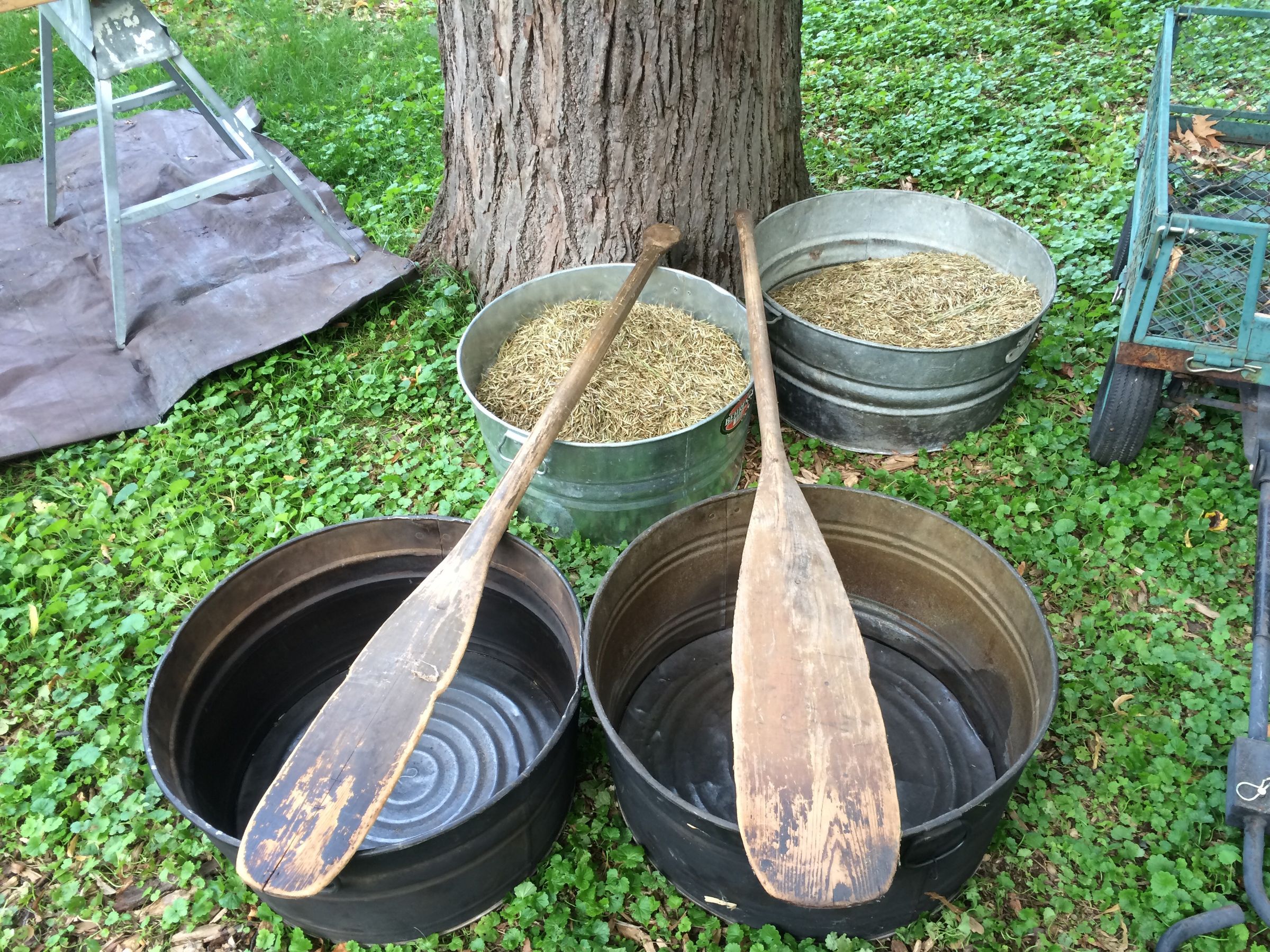 Finishing Wild Rice : 9 Steps (with Pictures) - Instructables