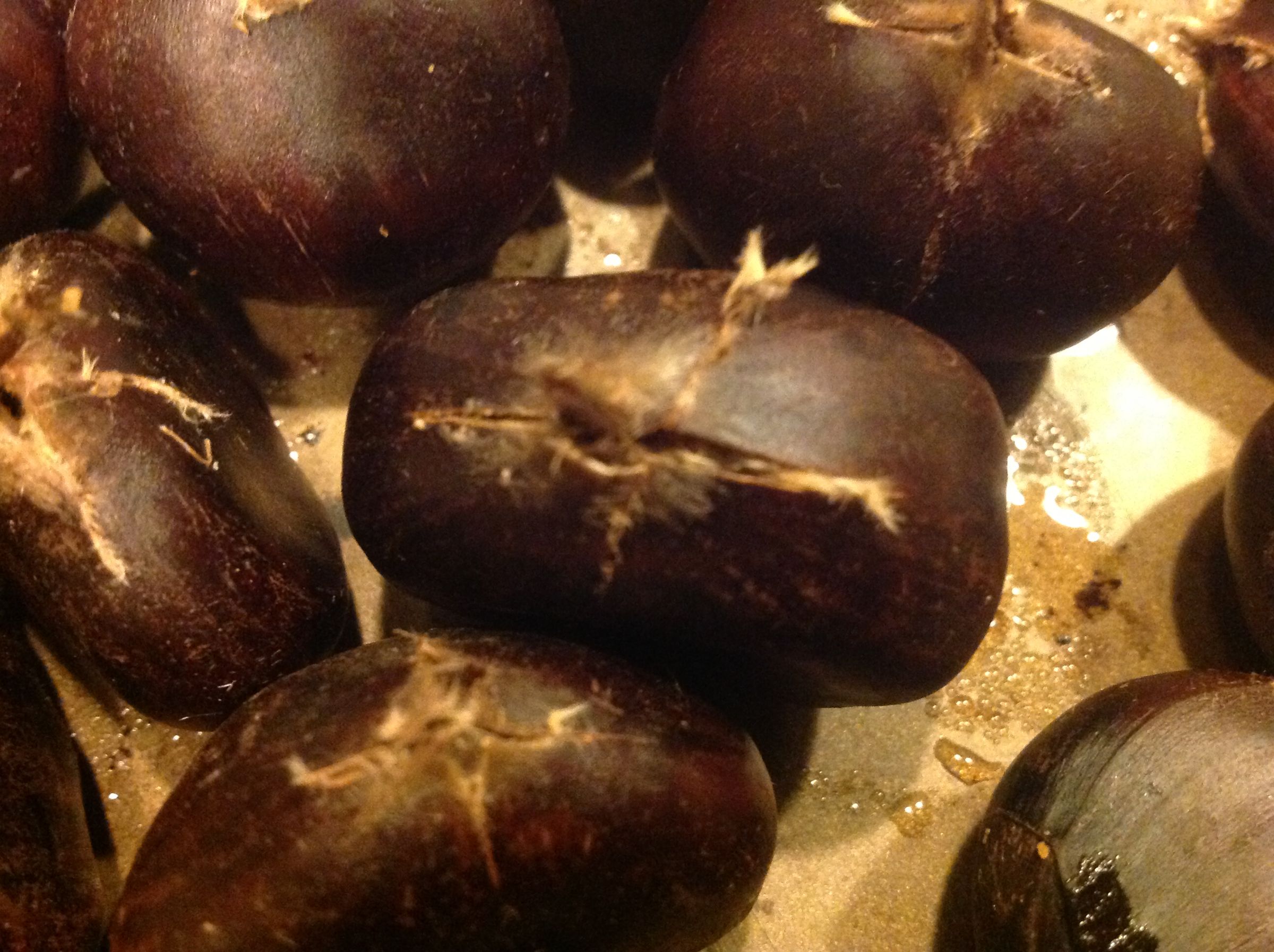 Spectacular Roasting Chestnut Explosion - Instructables