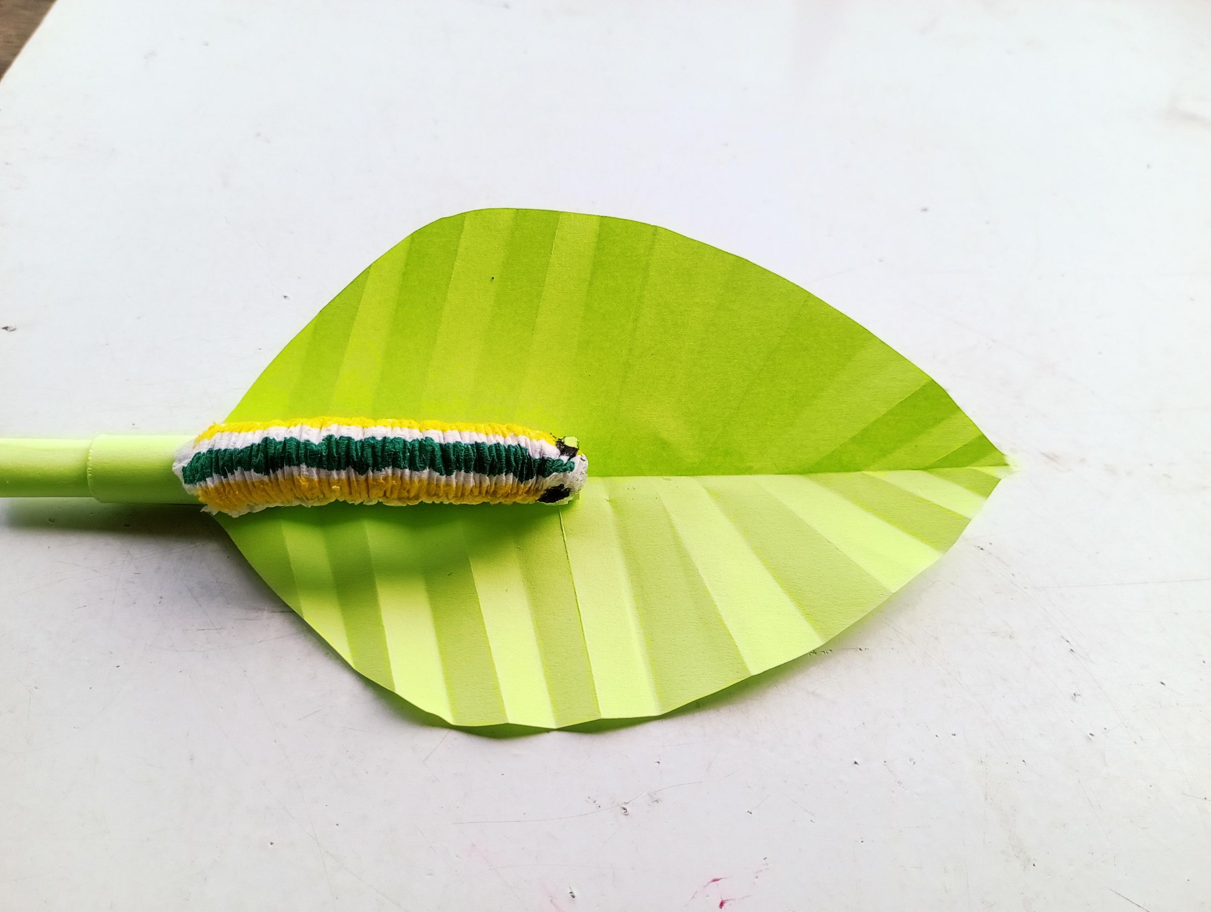 Super Simple DIY Fun Paper Wriggling Caterpillar. : 10 Steps (with ...