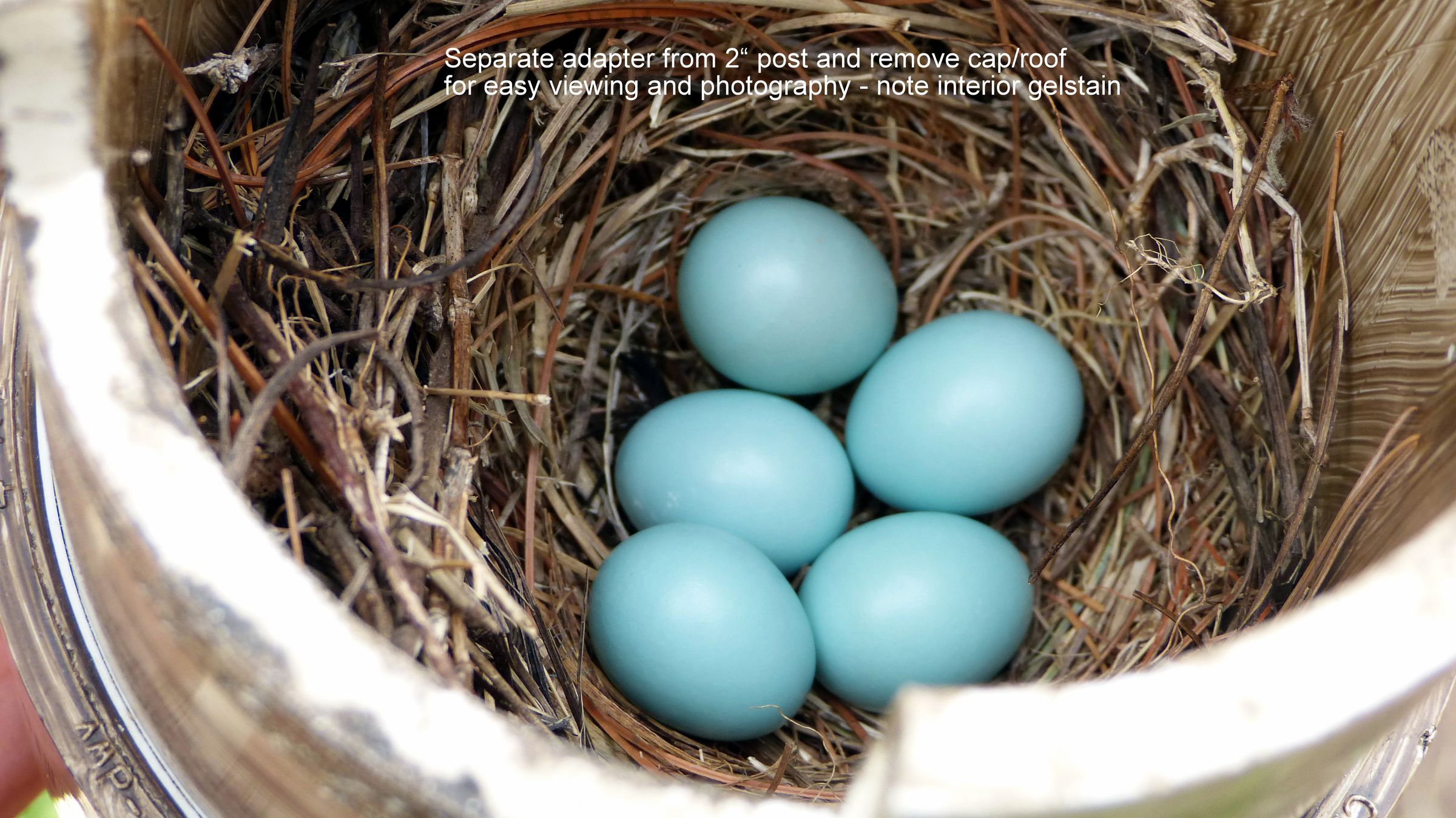 Moose PVC Bird Nest Box : 16 Steps (with Pictures) - Instructables