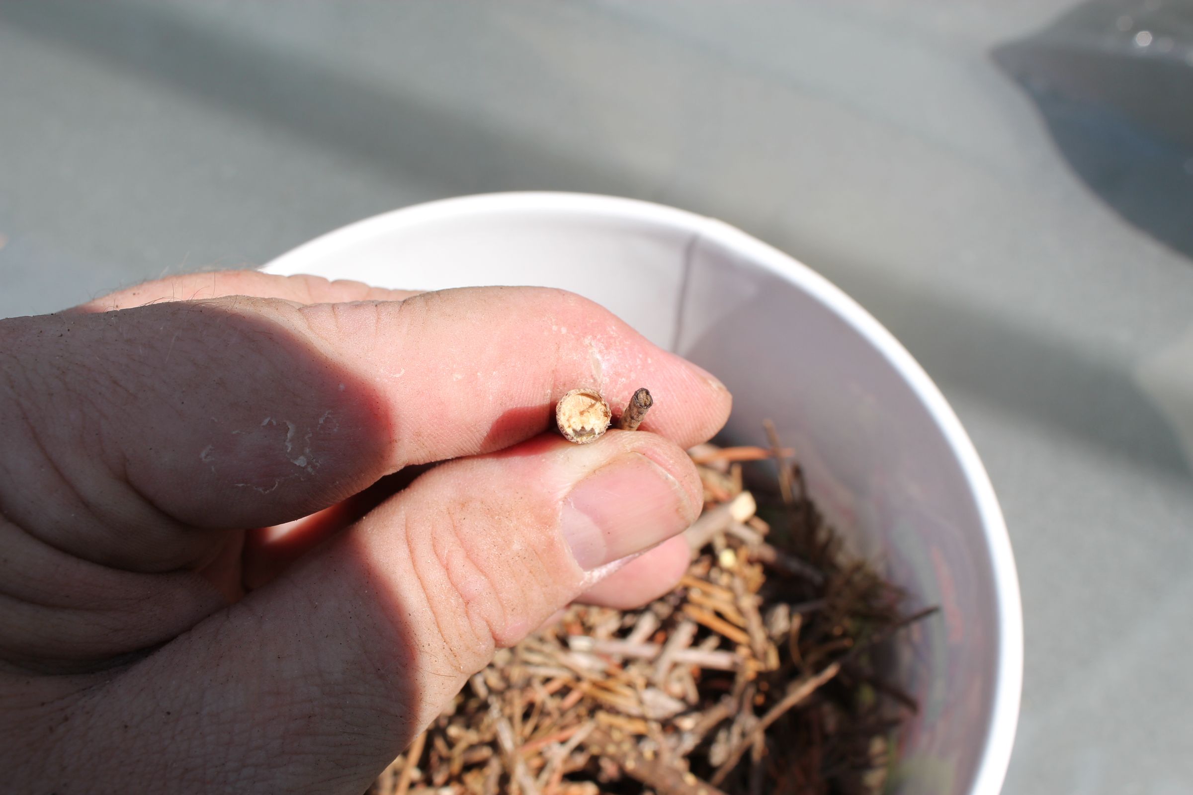 Alternative Mixed Media Sun Dried Paper Briquettes : 11 Steps (with ...