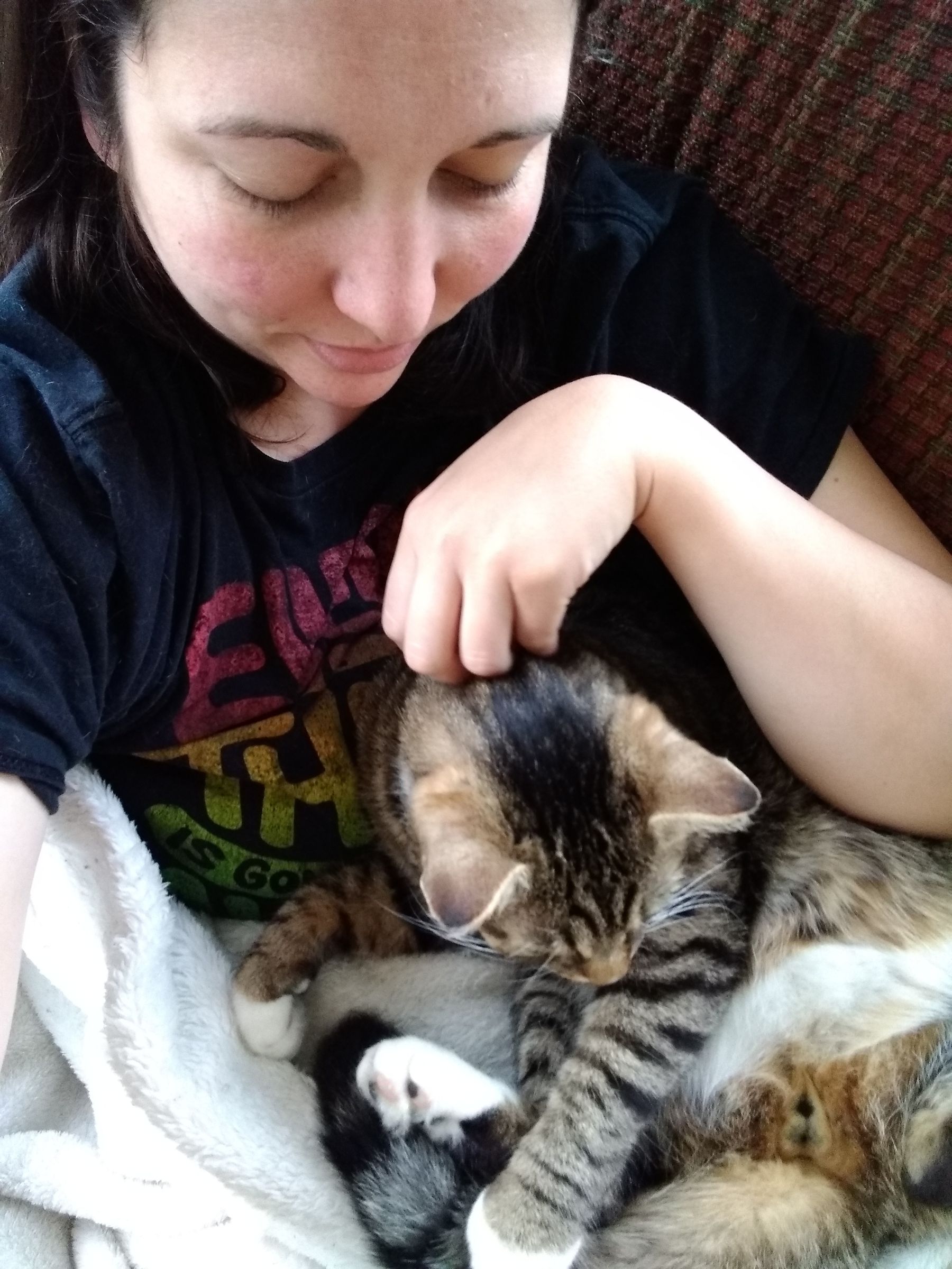 How To: Lull Your Cat to Sleep : 14 Steps (with Pictures) - Instructables