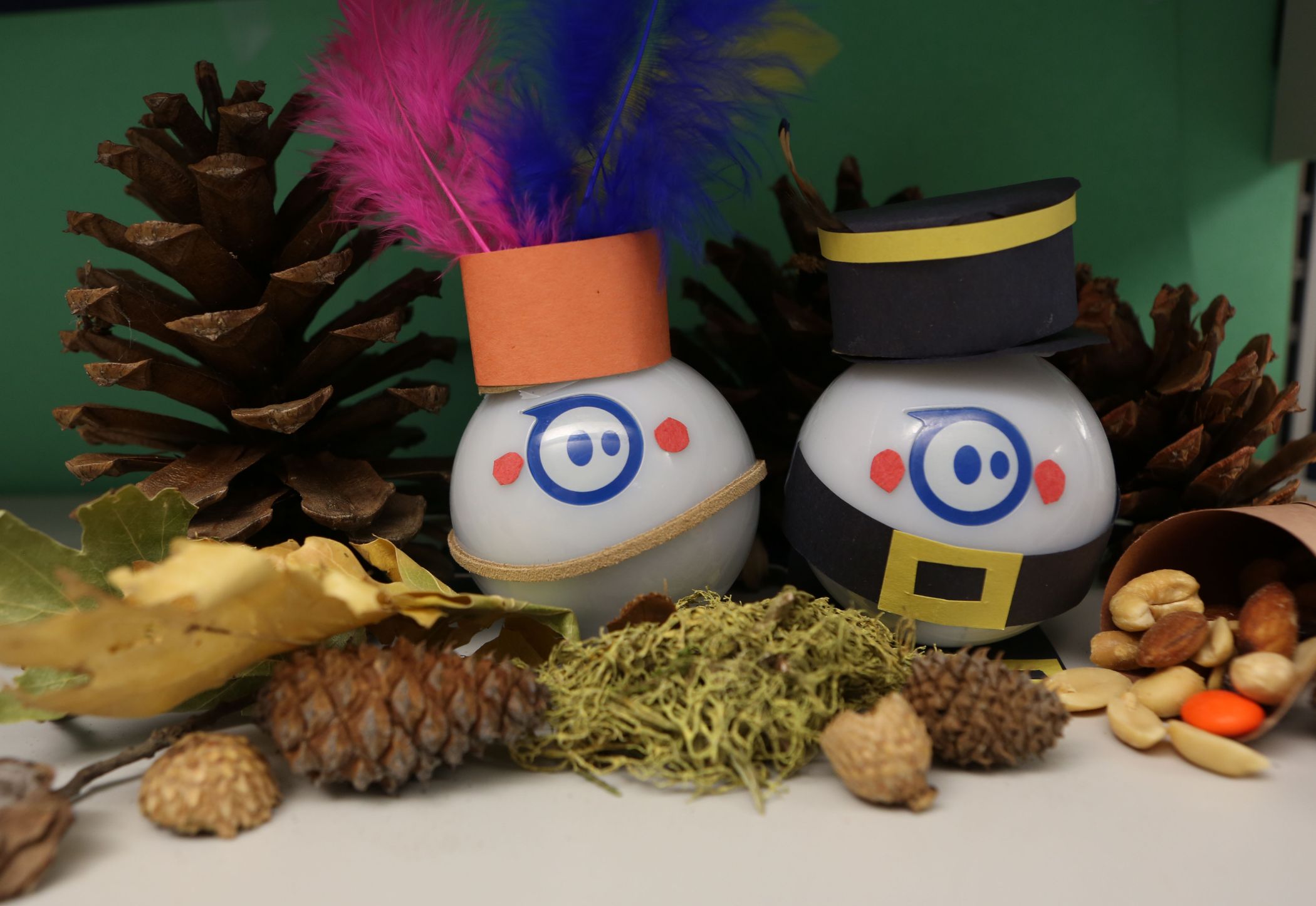 DIY Sphero Thanksgiving Costumes and Display - Instructables