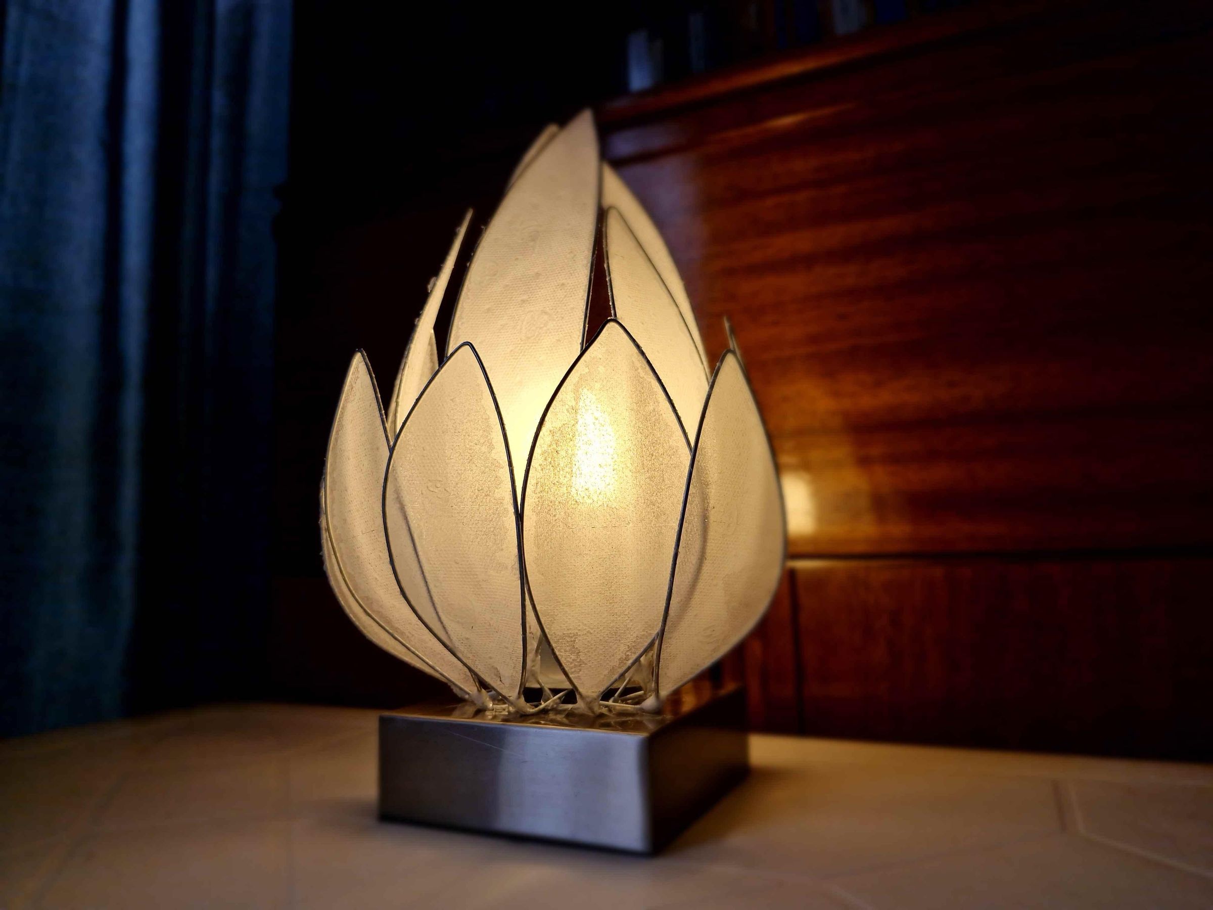 Transforming Toilet Paper Into a Beautiful Lotus Flower Lamp : 14 Steps ...