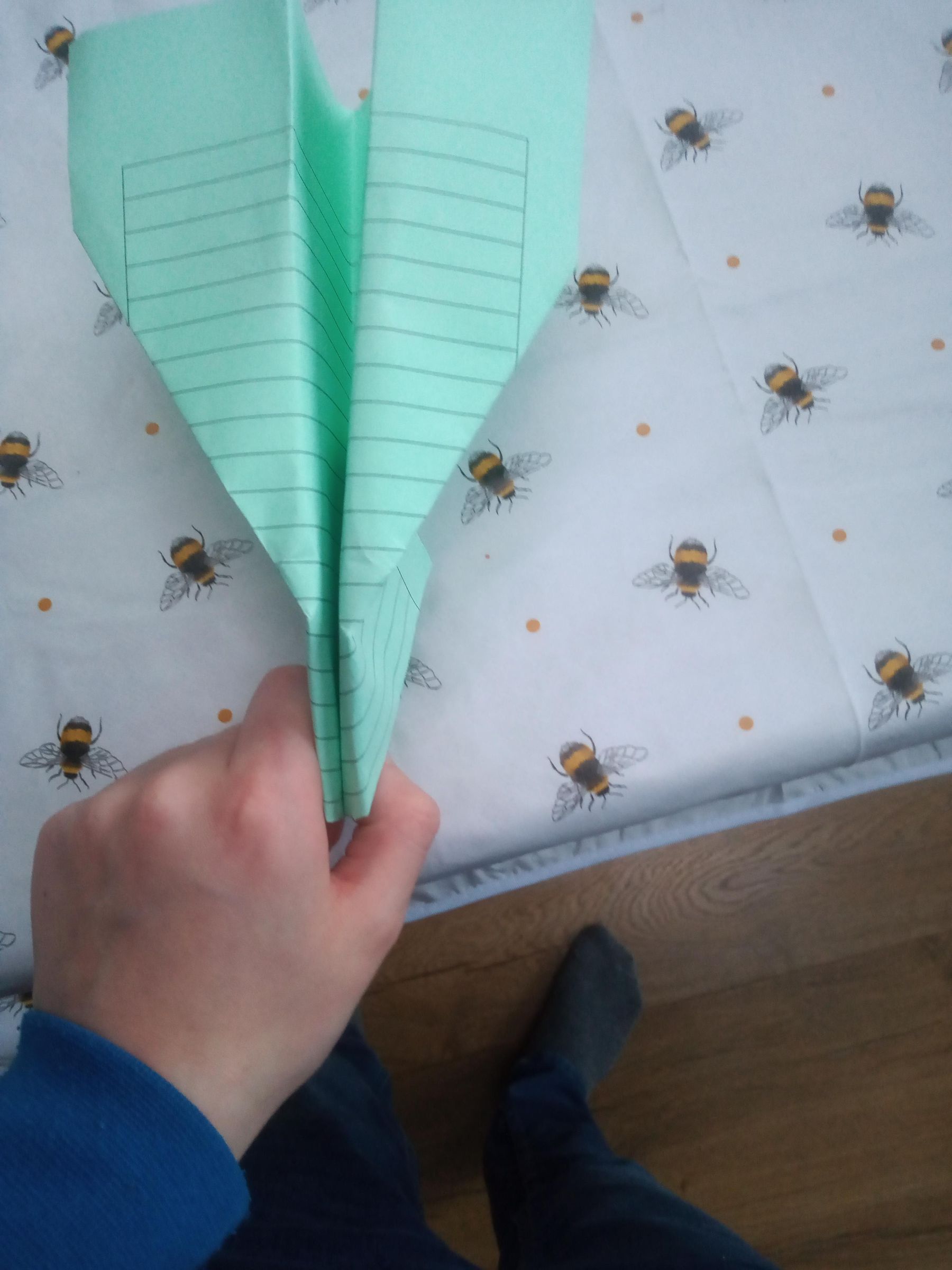 Advanced Paper Airplane : 10 Steps - Instructables