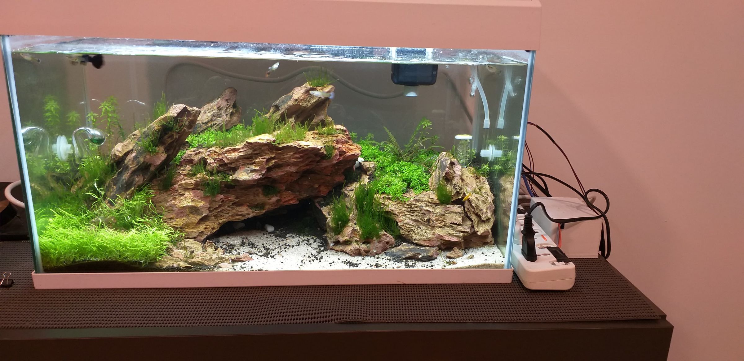 Smart Tank - Arduino Powered Aquarium : 9 Steps (with Pictures ...