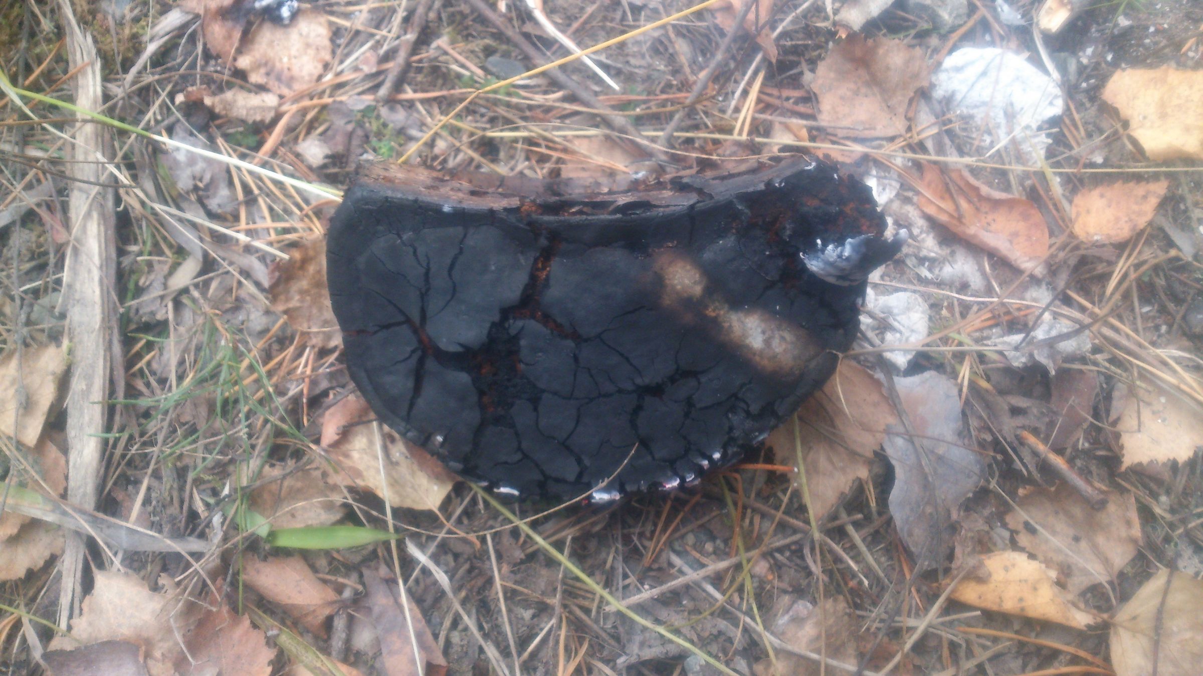 How to Carry Embers : 5 Steps (with Pictures) - Instructables