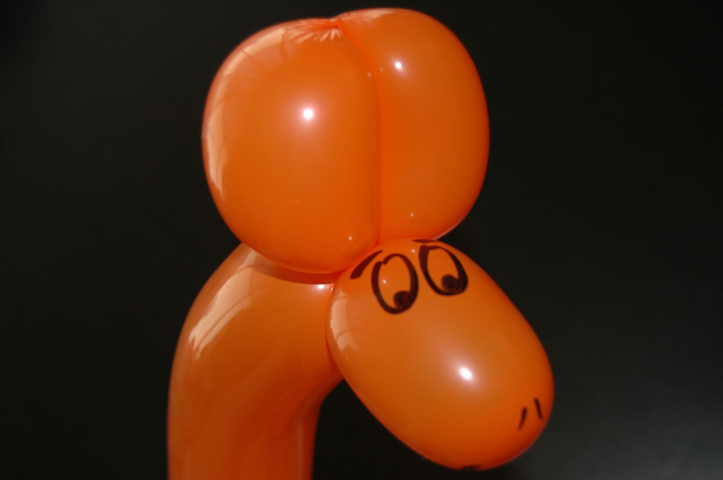 How to Balloon Twist : 19 Steps (with Pictures) - Instructables