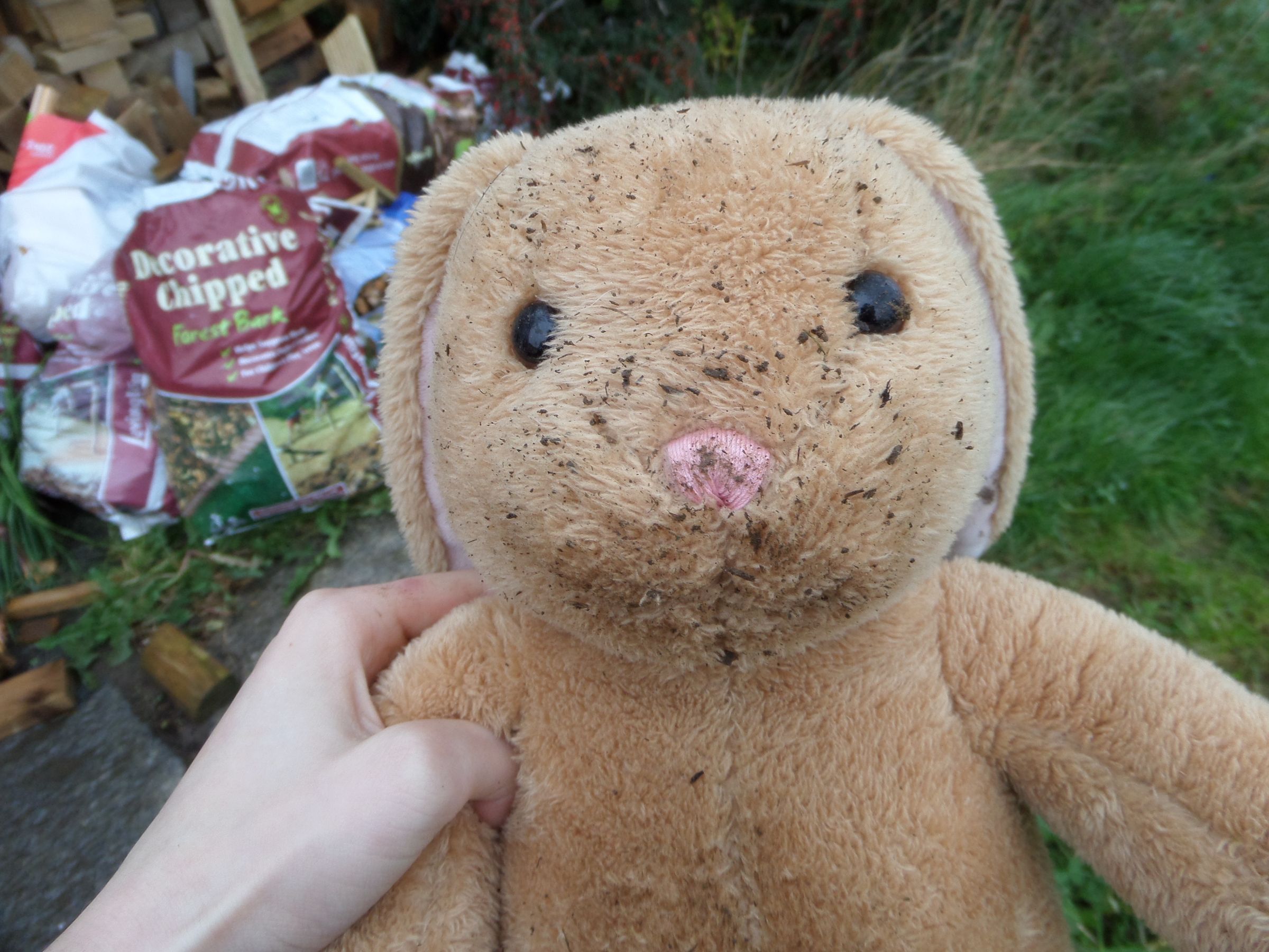 Teddy Halloween Prop : 5 Steps (with Pictures) - Instructables