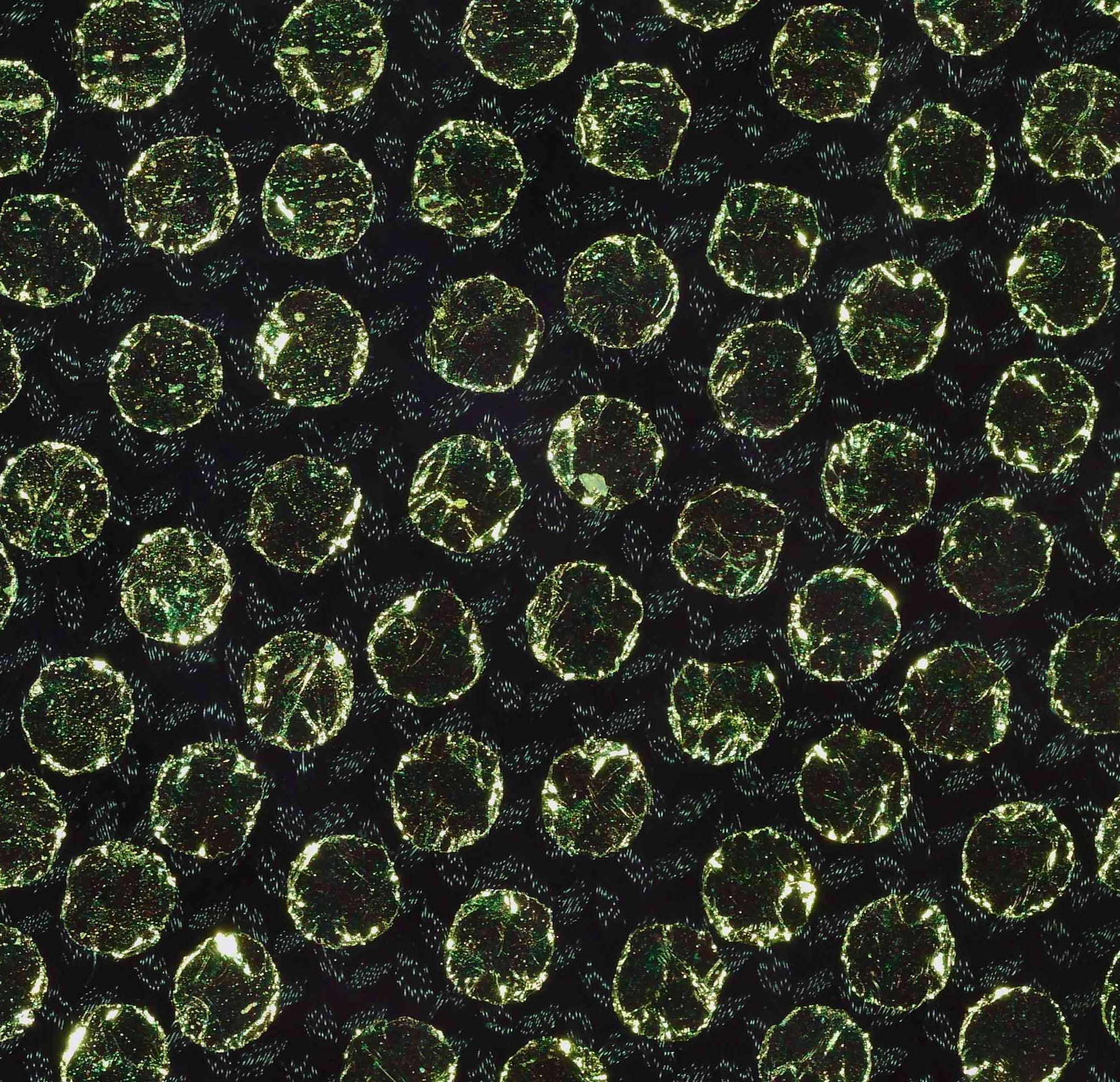 Scan Fabrics at Super High Resolution With LadyBug, a Motorized ...