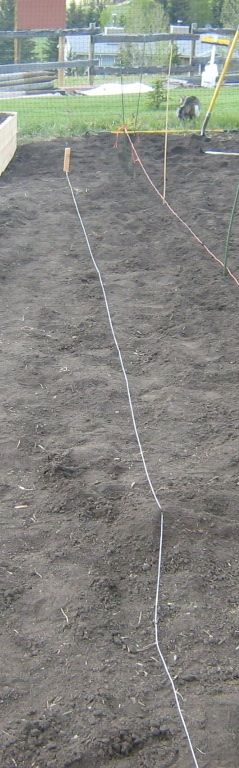 Make a Garden Row Marker : 8 Steps - Instructables