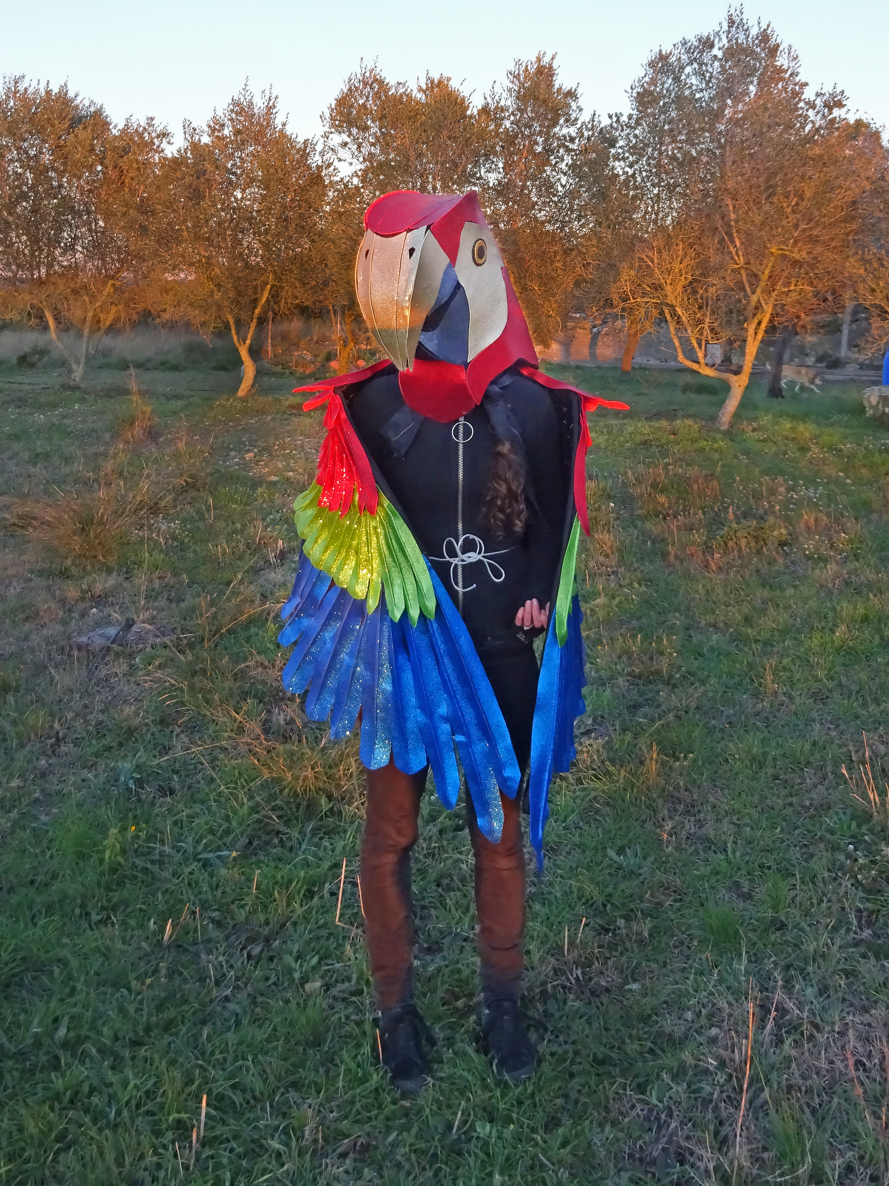 Parrot Mask and Wings : 11 Steps (with Pictures) - Instructables