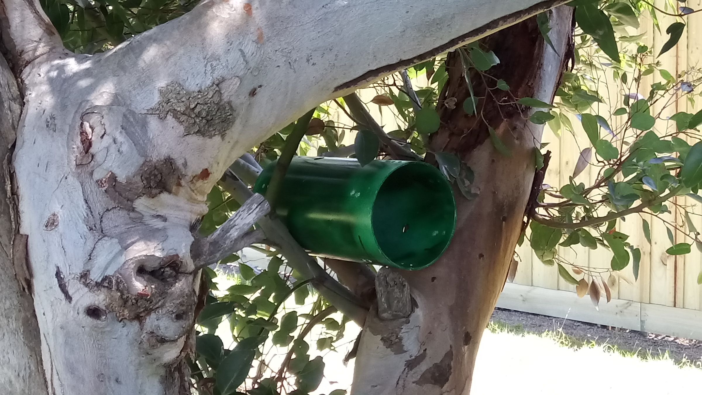 Helpful Possum Box : 4 Steps (with Pictures) - Instructables