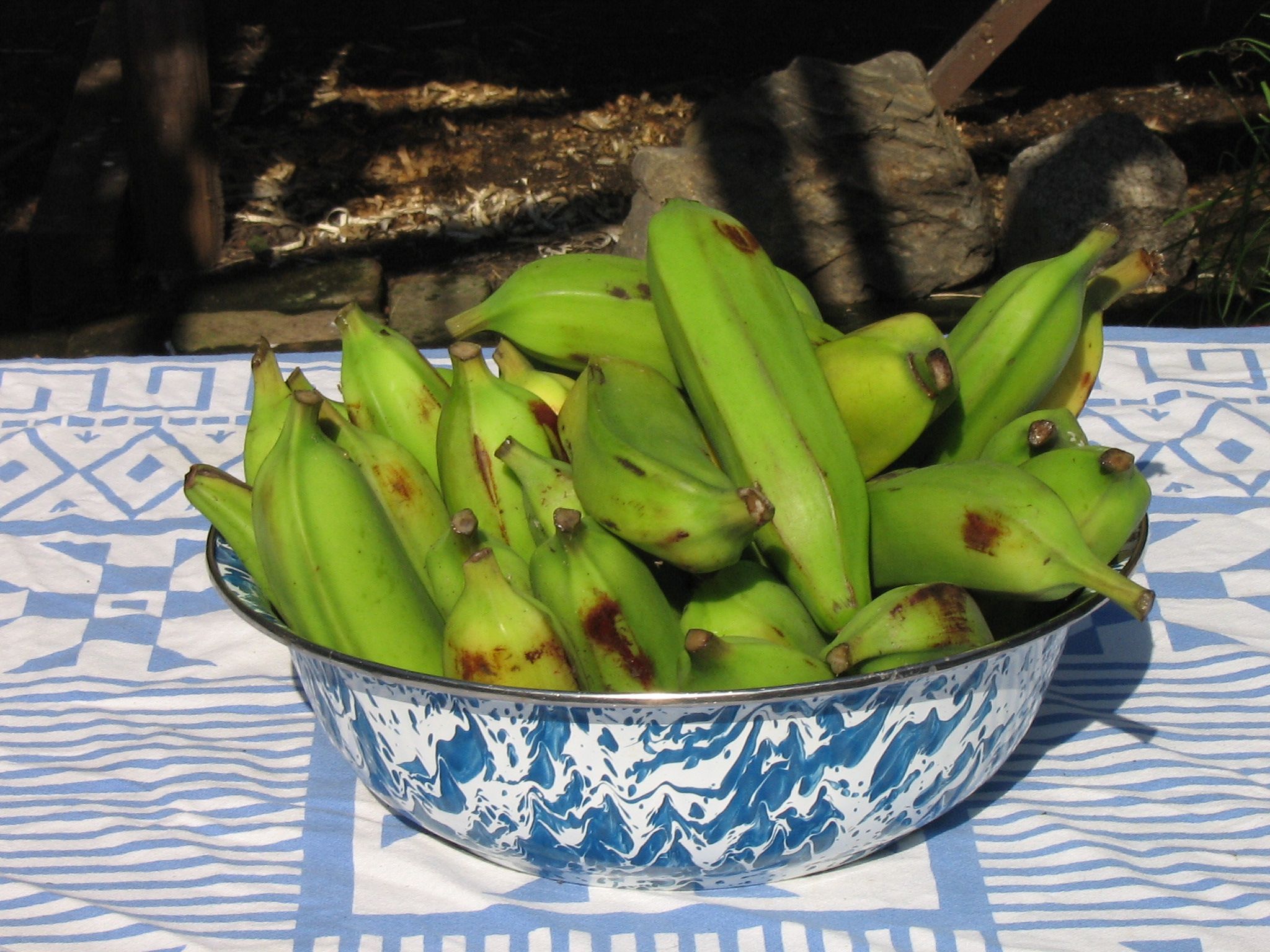 Green Banana French Fries : 8 Steps (with Pictures) - Instructables