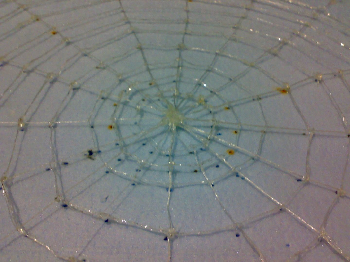Artificial Spider Web Creation With Hot Glue : 8 Steps - Instructables